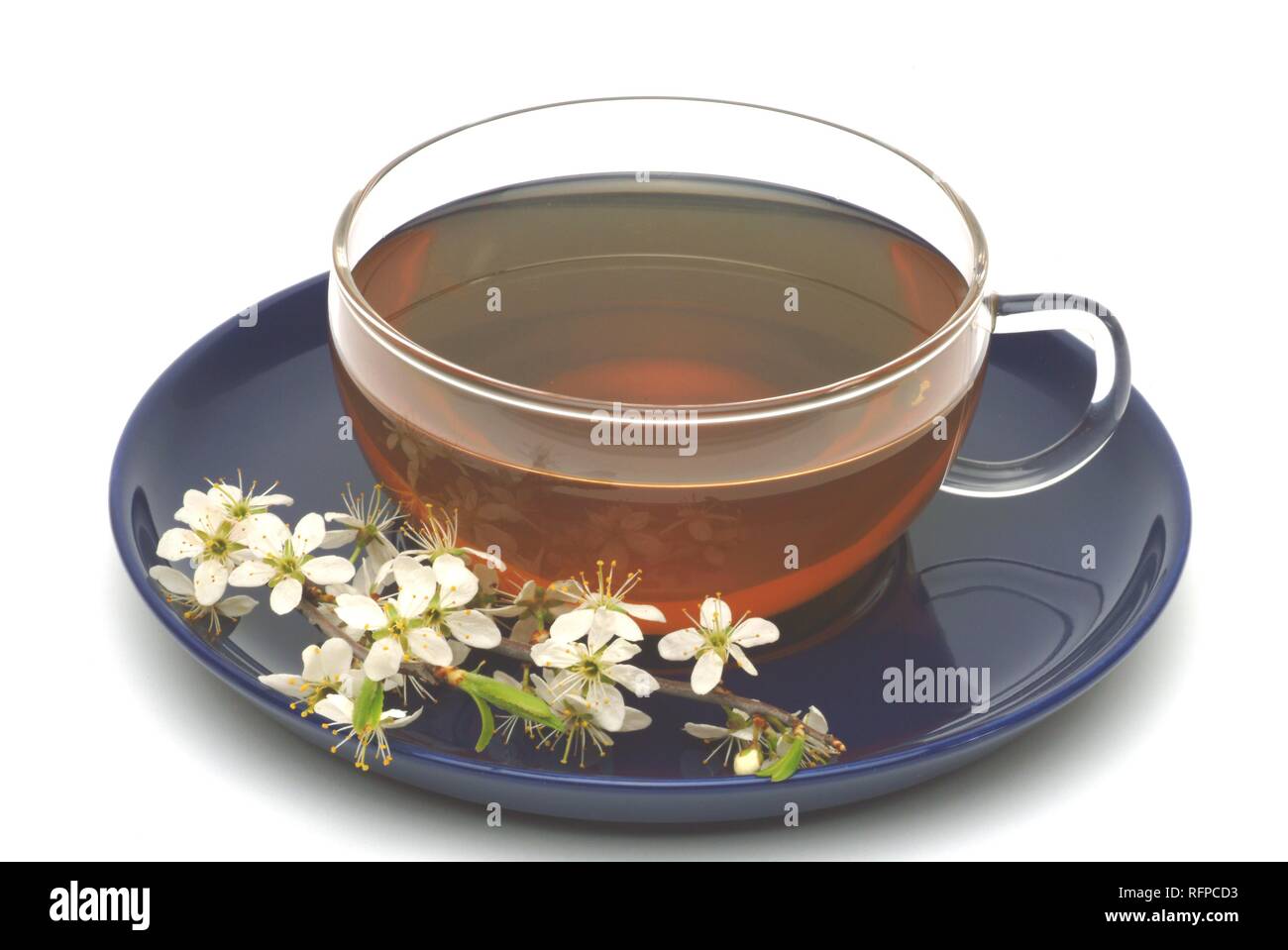 Sloeblossoms hi-res stock photography and images - Alamy