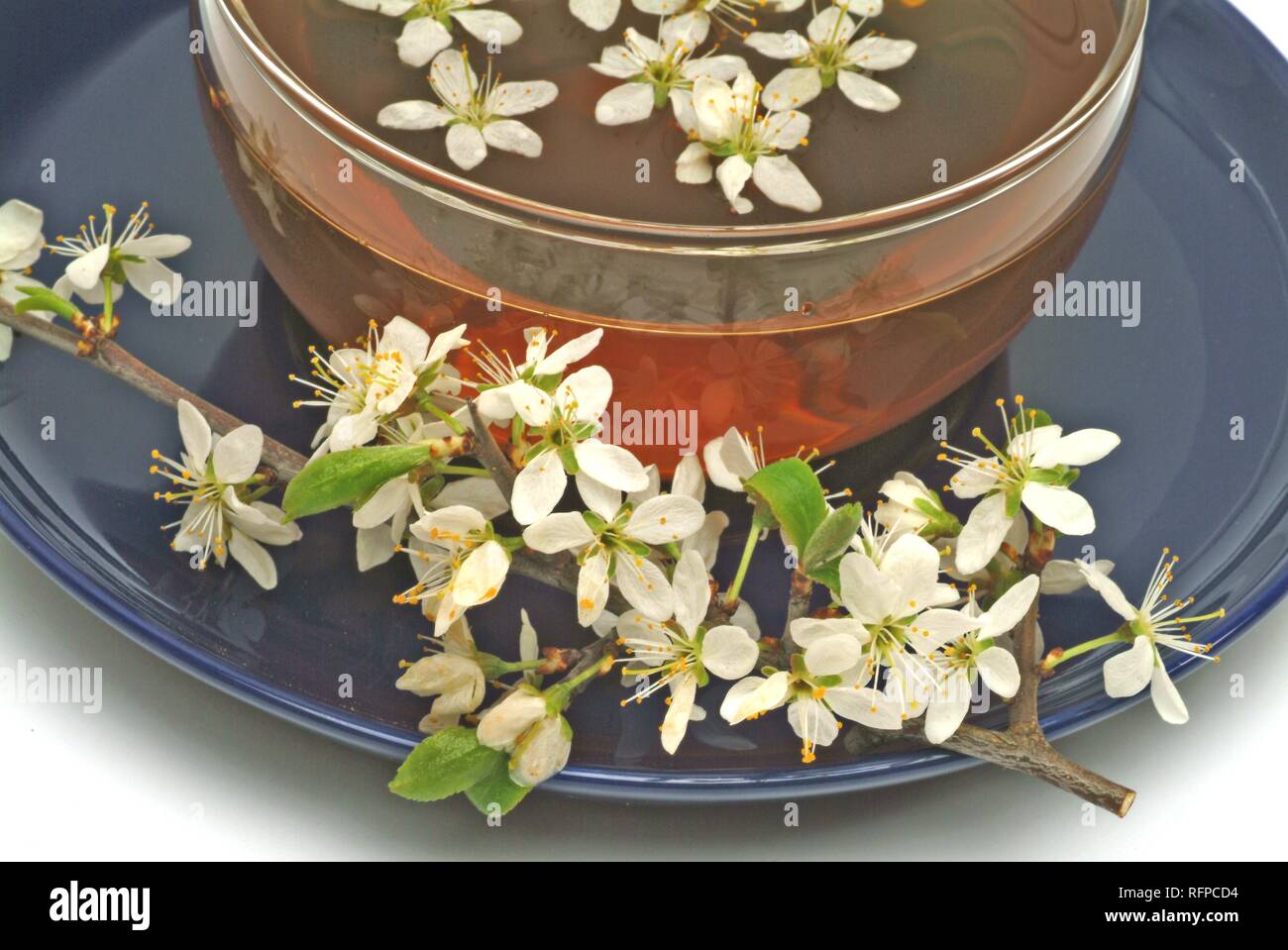 Sloeblossoms hi-res stock photography and images - Alamy