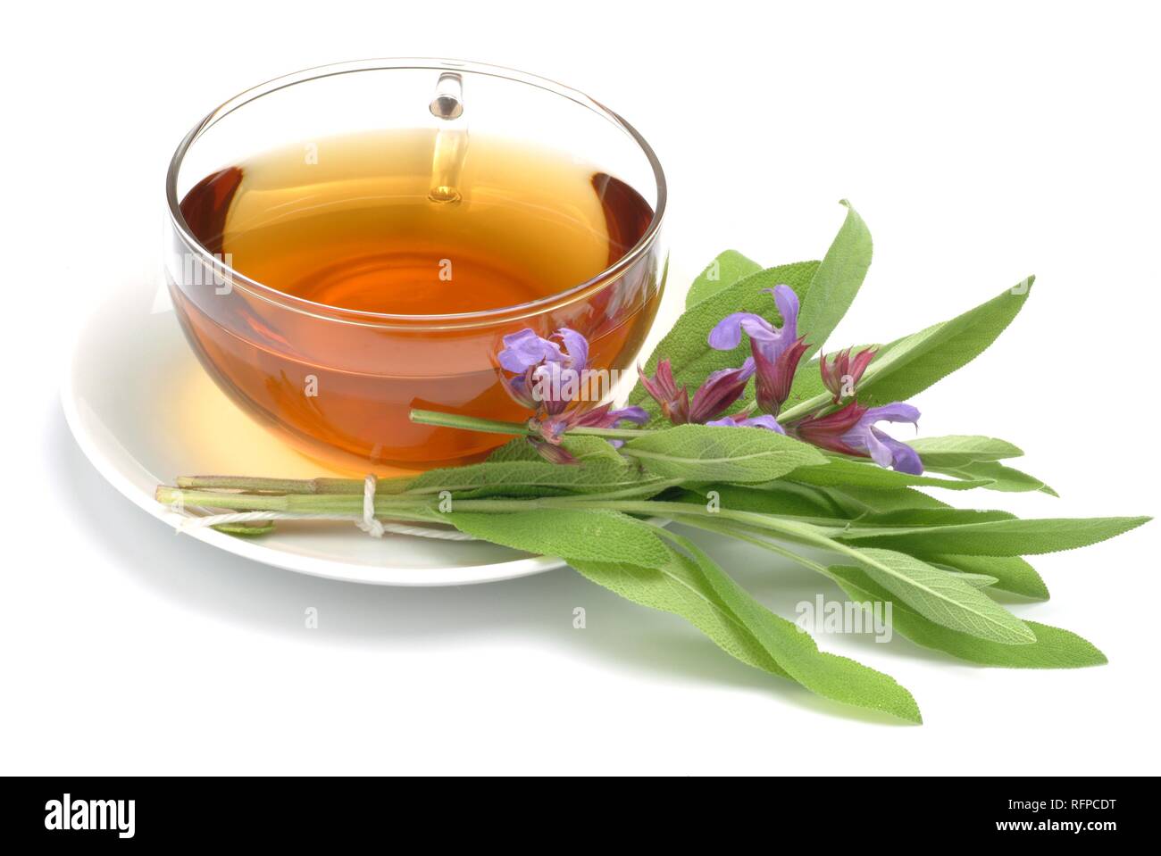 Sagetea, herb tea, salvia domestica Stock Photo - Alamy