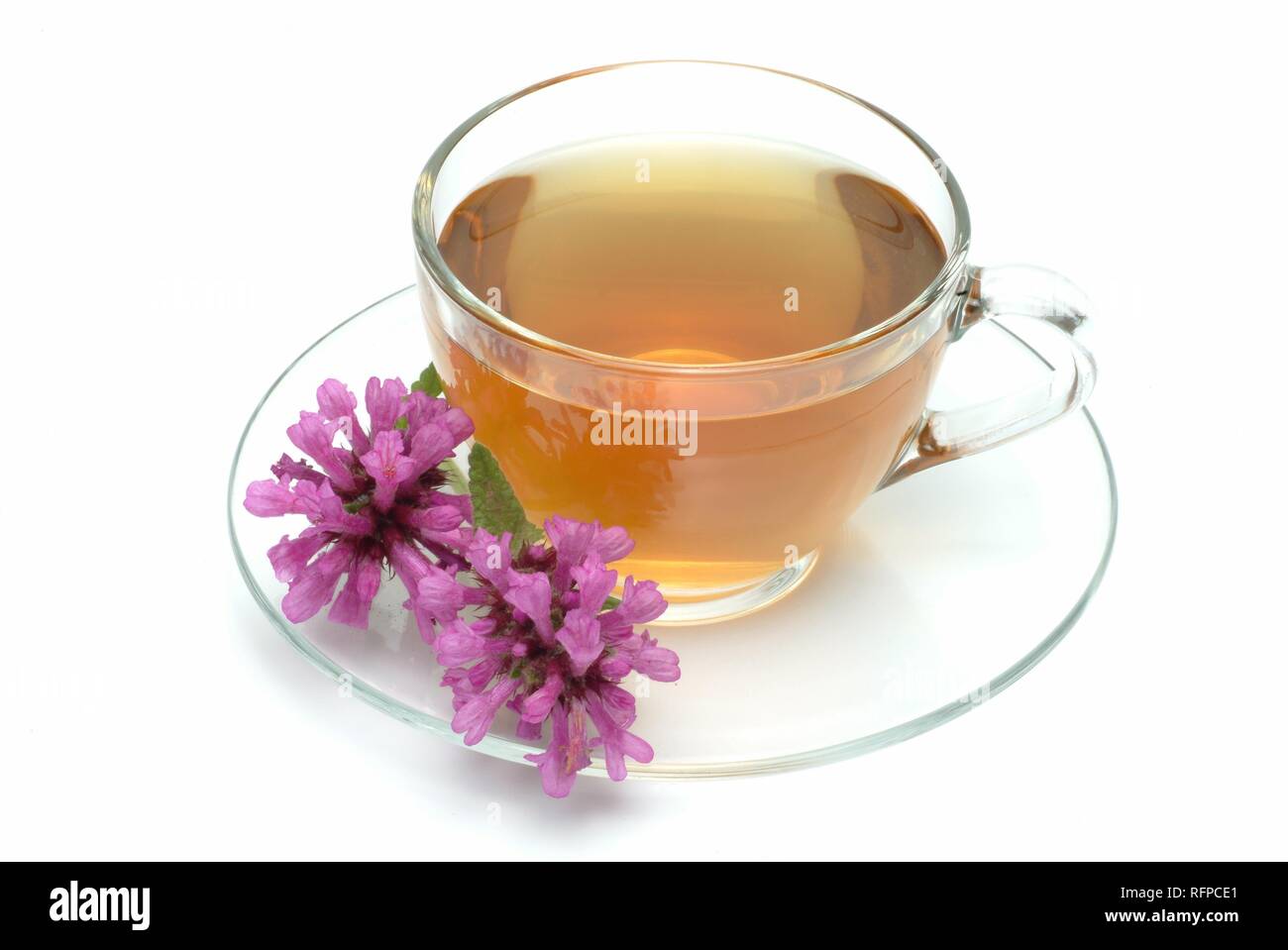 Betonica Cut Out Stock Images & Pictures - Alamy