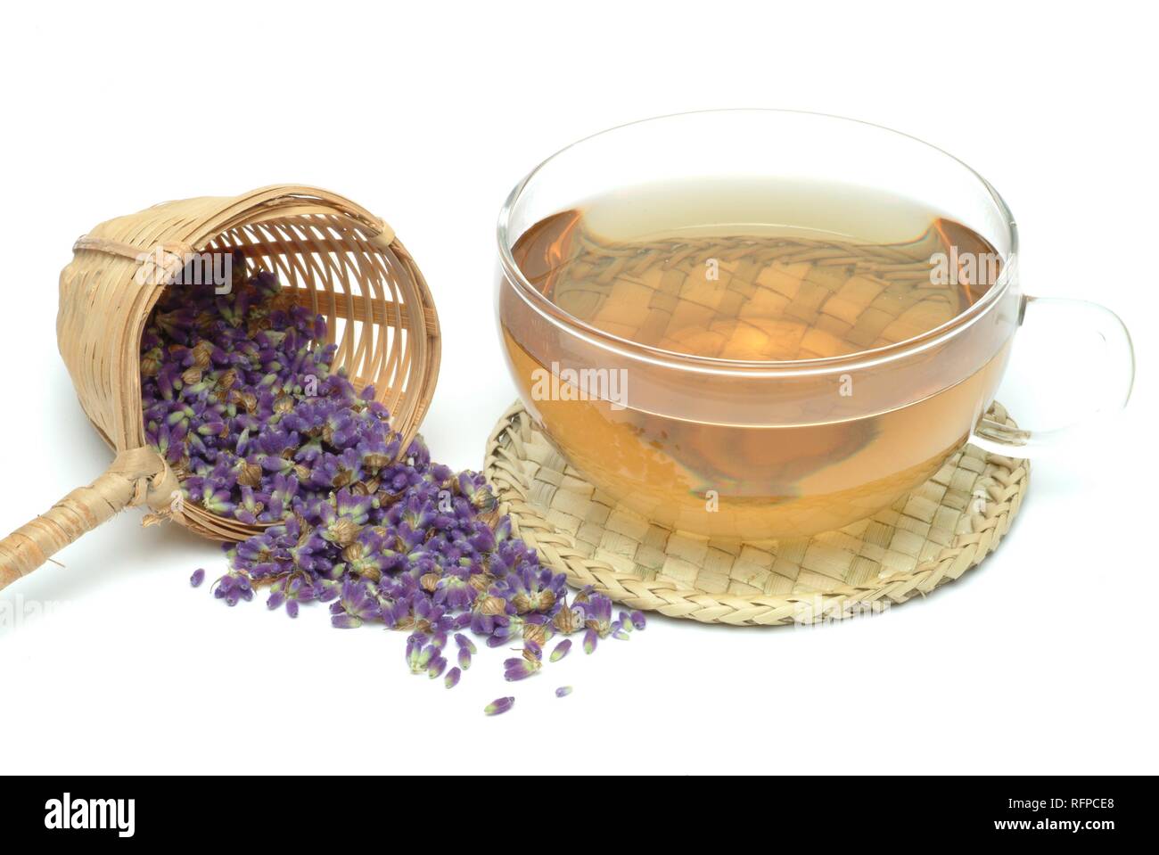 Lavender officinalis hi-res stock photography and images - Alamy