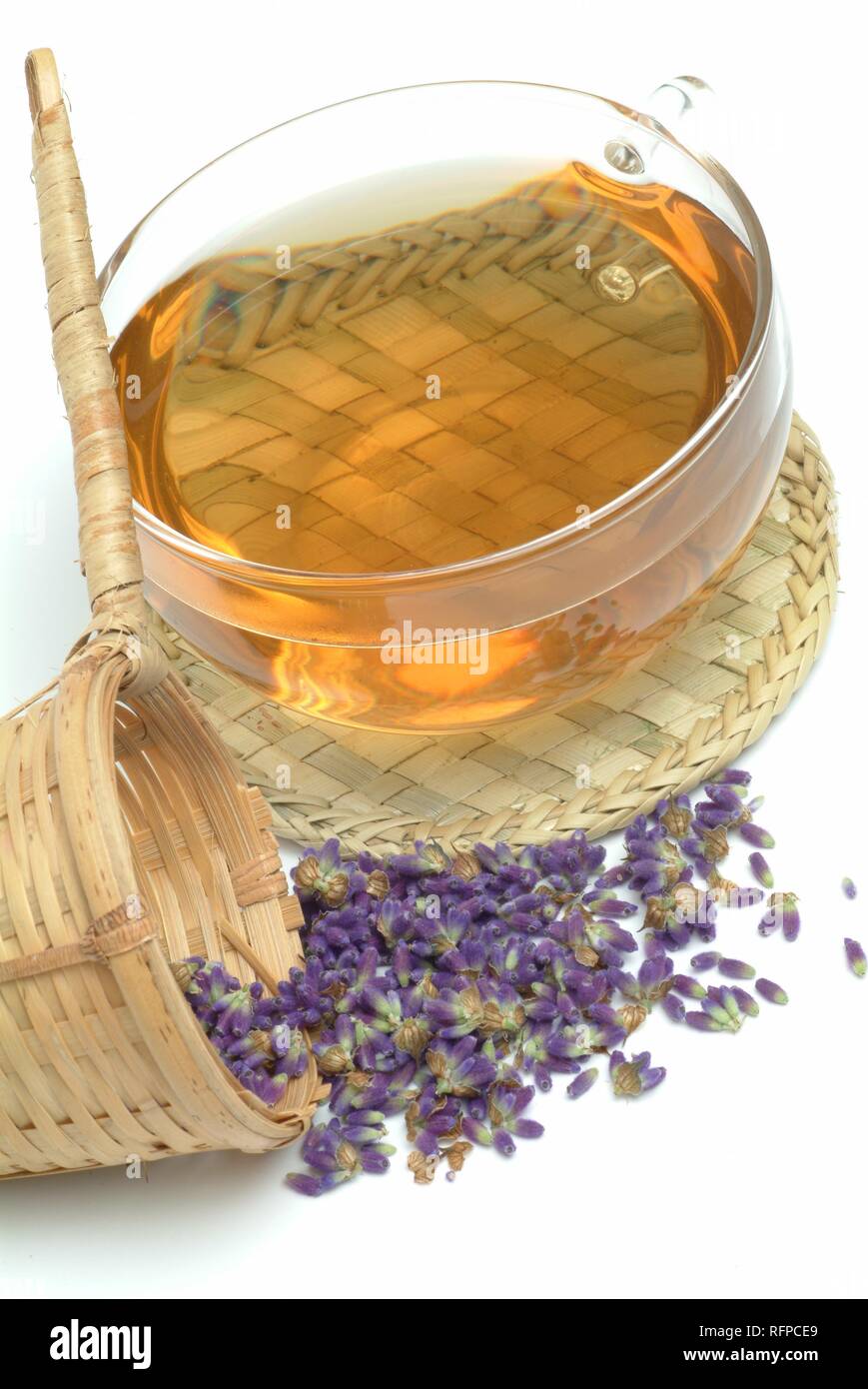 Lavendula officinalis hi-res stock photography and images - Alamy