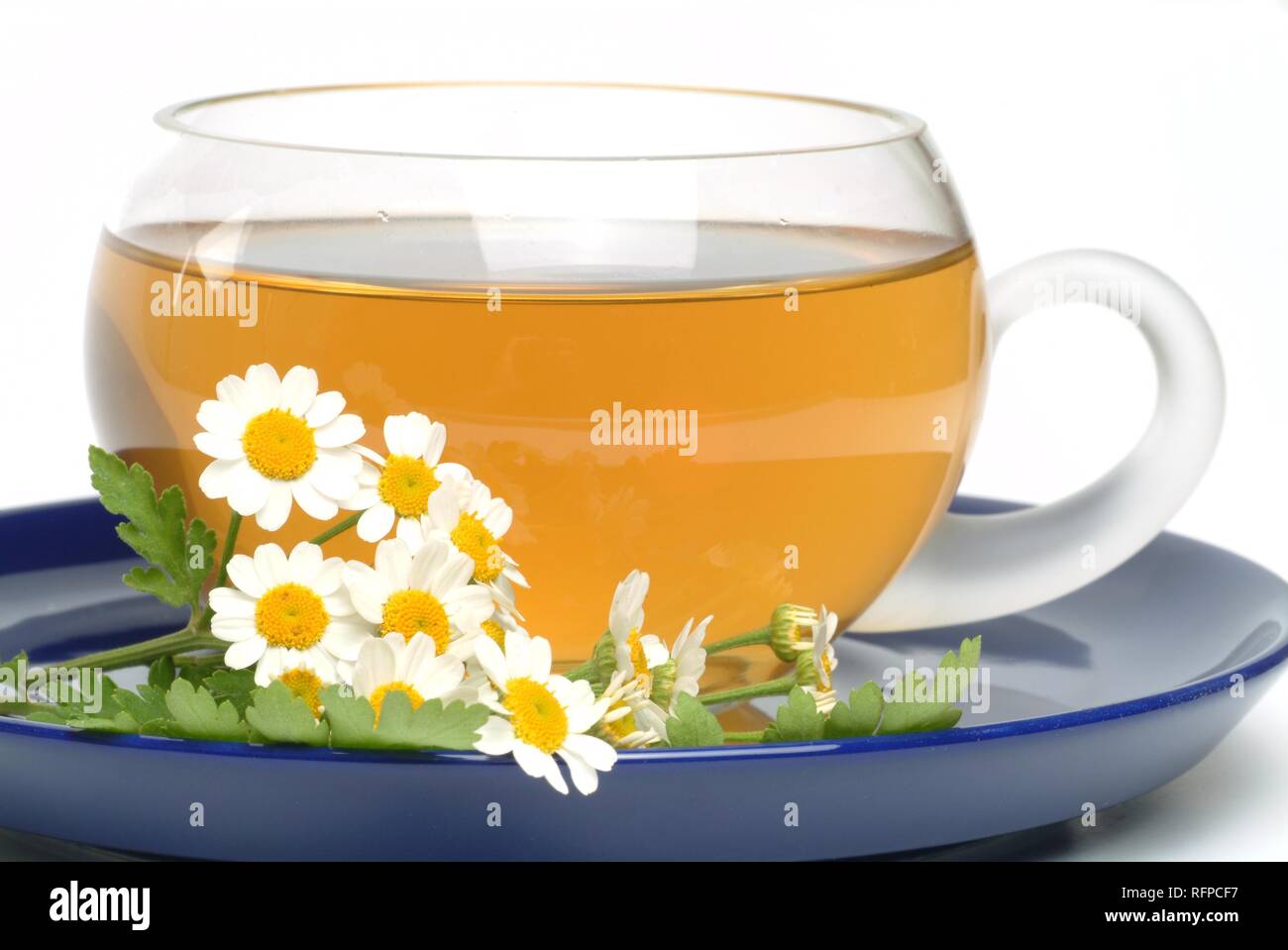 Feverfew Tea
