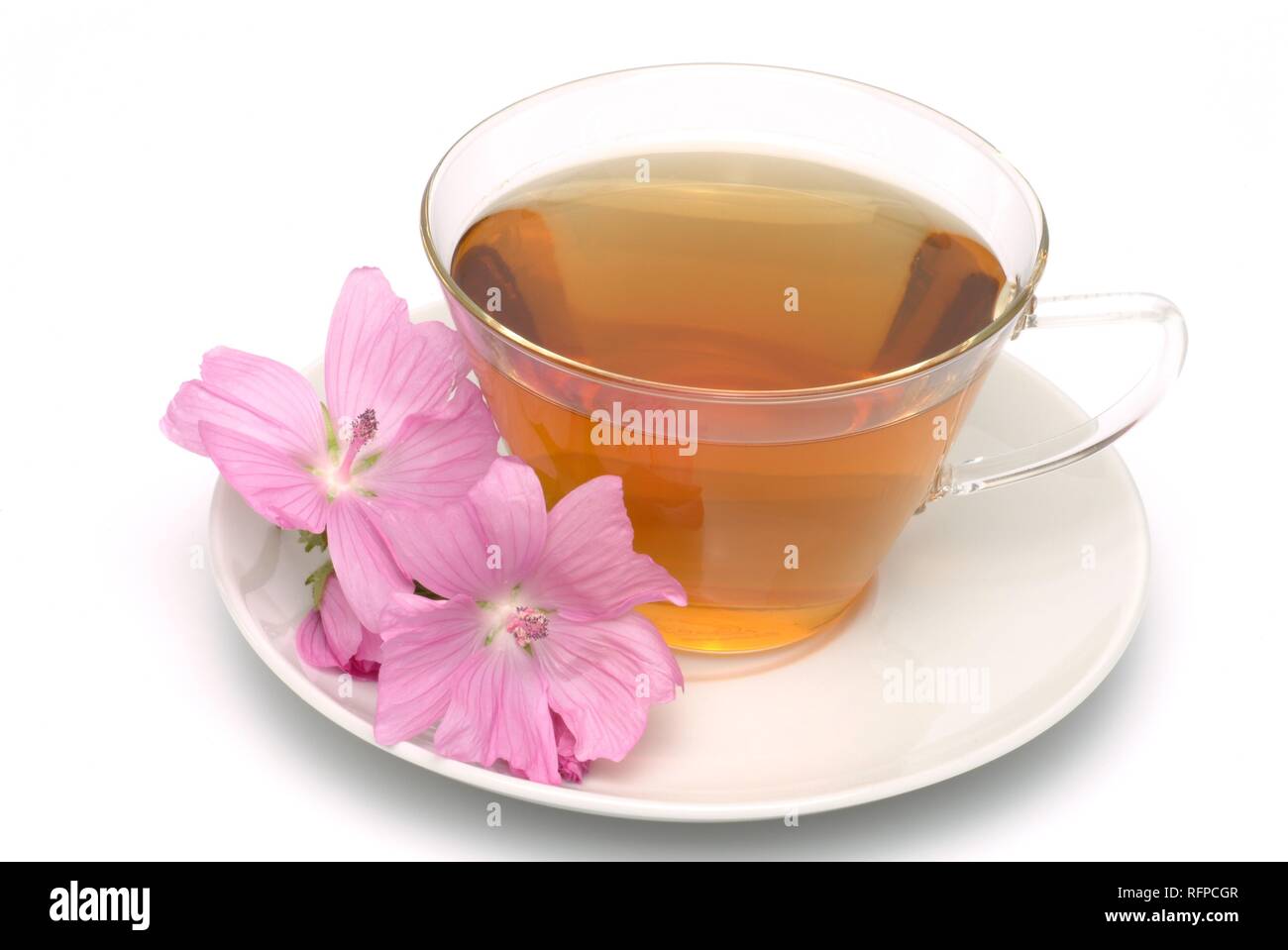 Herb tea made of Musk mallow, medicinal tea, Malva moschate Stock Photo ...