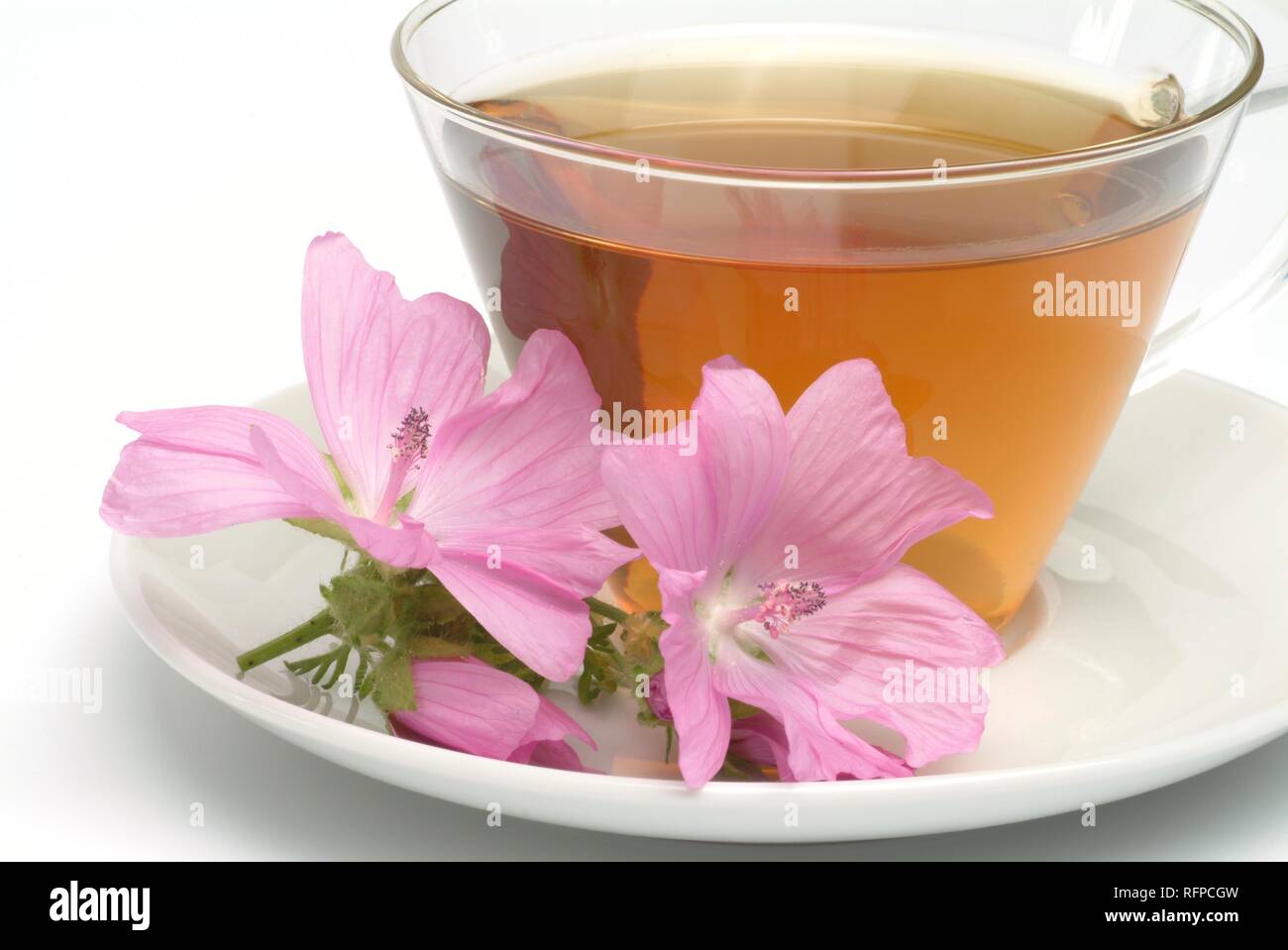 Herb tea made of Musk mallow, medicinal tea, Malva moschate Stock Photo ...