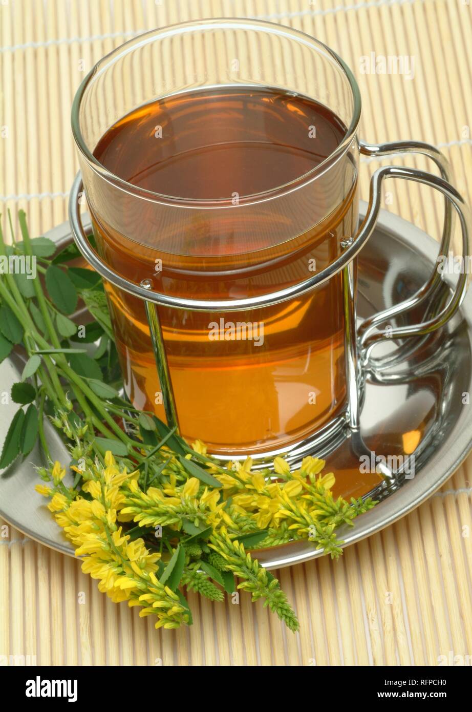 Tea made of Melilotus officinalis, Melilot Stock Photo - Alamy