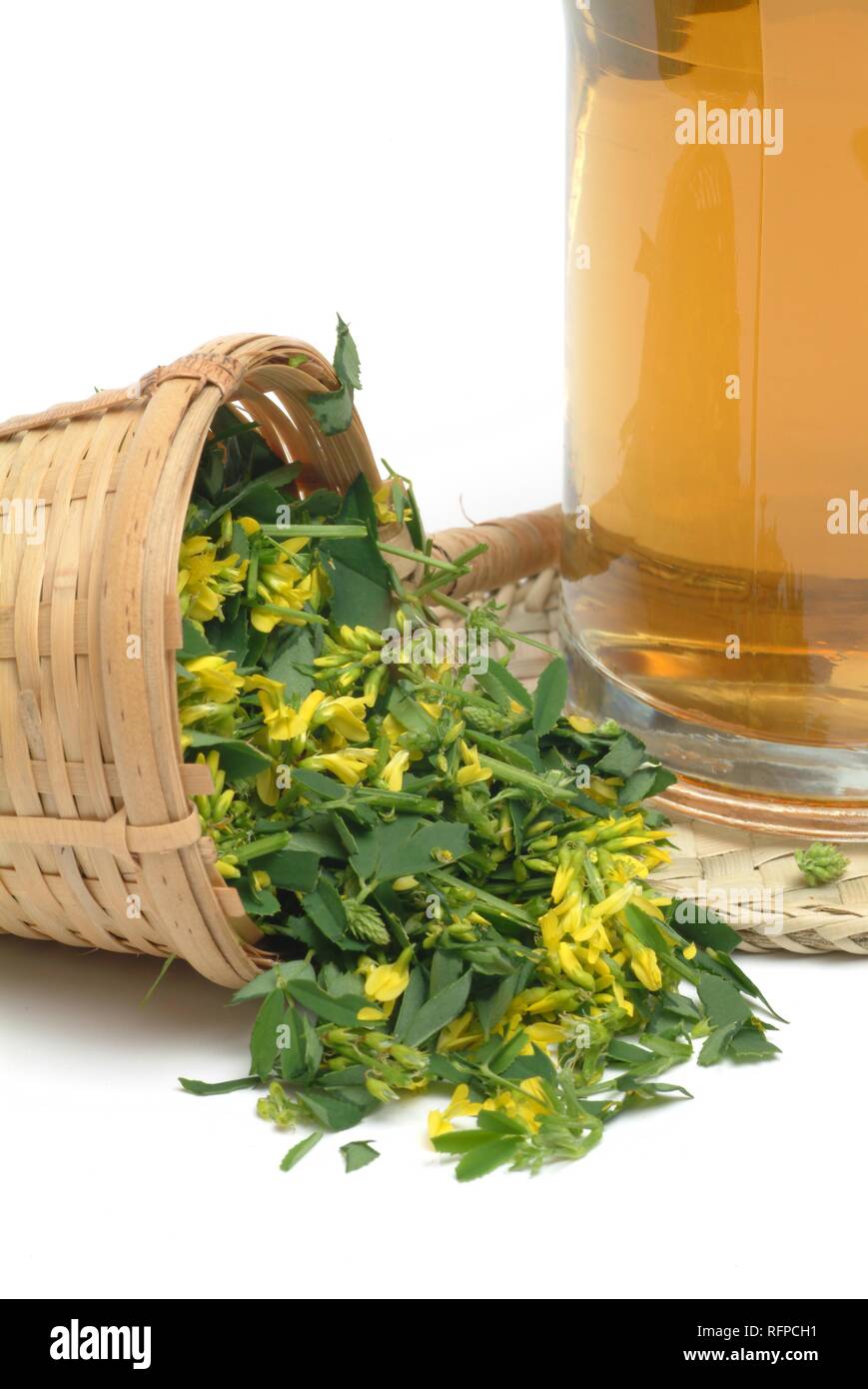 Tea made of Melilotus officinalis, Melilot Stock Photo - Alamy