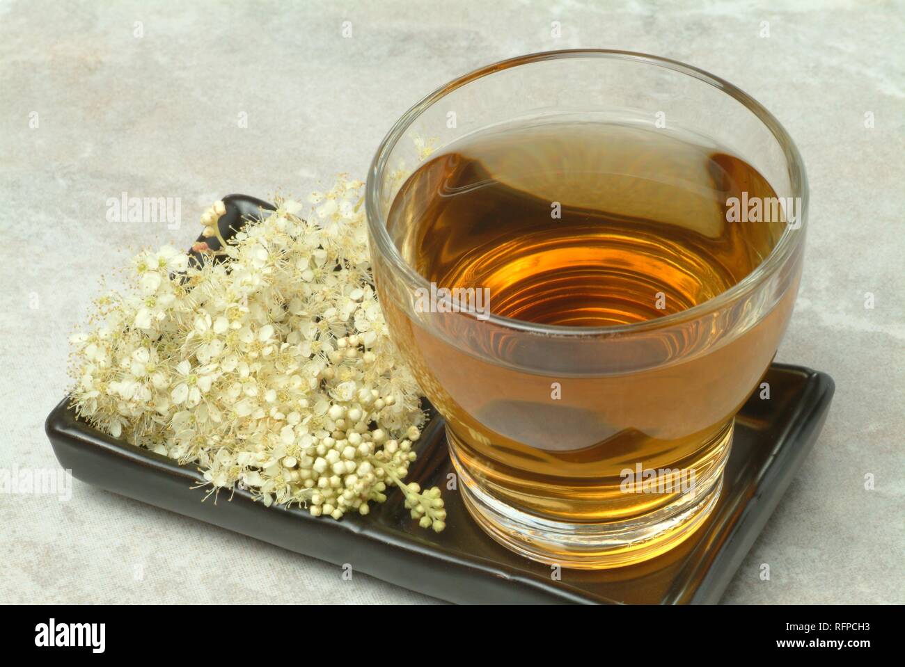 Meadowsweet, herb tea, Filipendula ulmaria, Olmario Stock Photo - Alamy