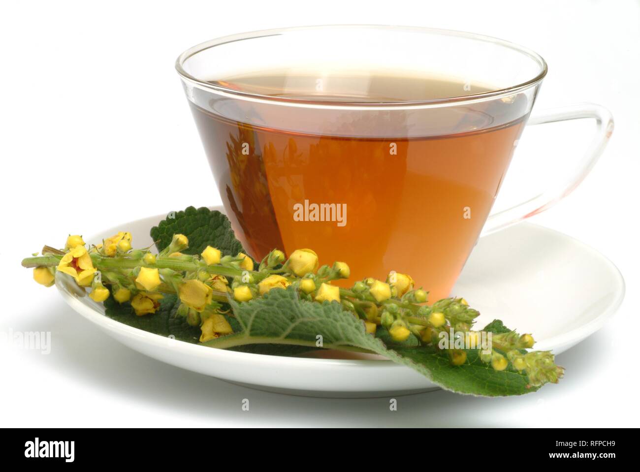 Medicinal tea, herb tea, Verbascum nigrum, Verbasco Stock Photo - Alamy