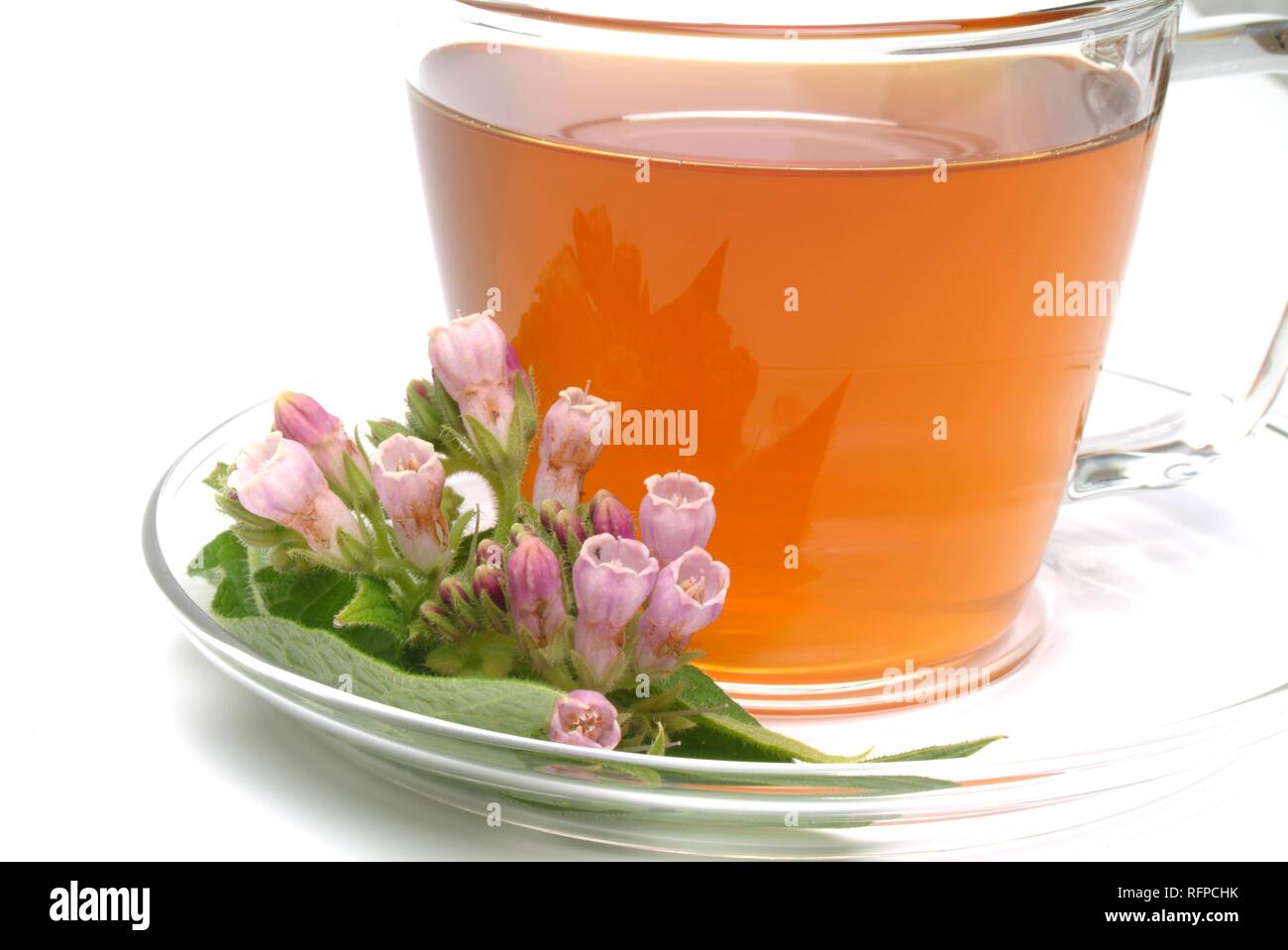 Common comfrey, tea, medicinal use, Symphytum officinale Stock Photo ...