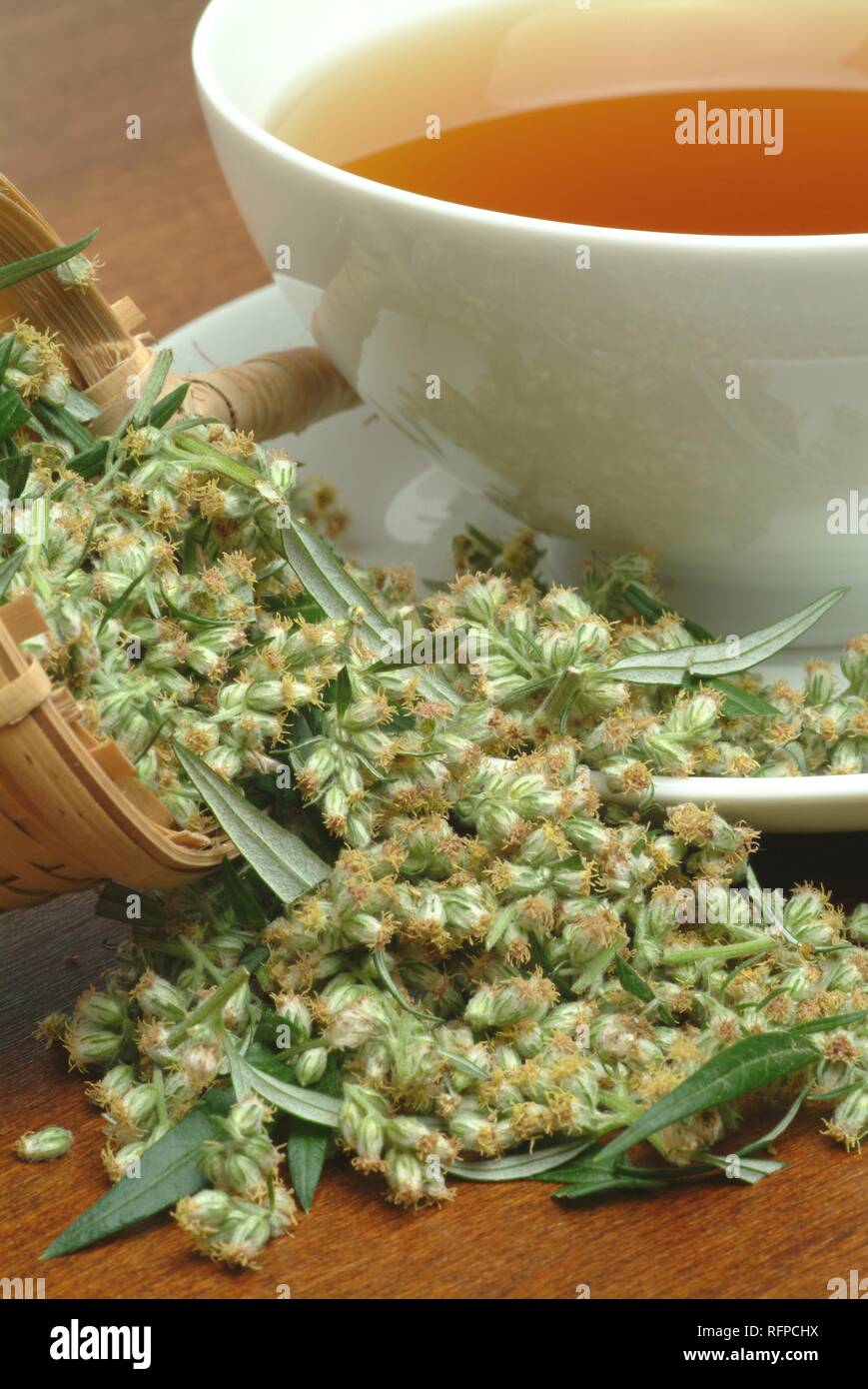 Tea made of Mugwort, Artemisia vulgaris Stock Photo - Alamy