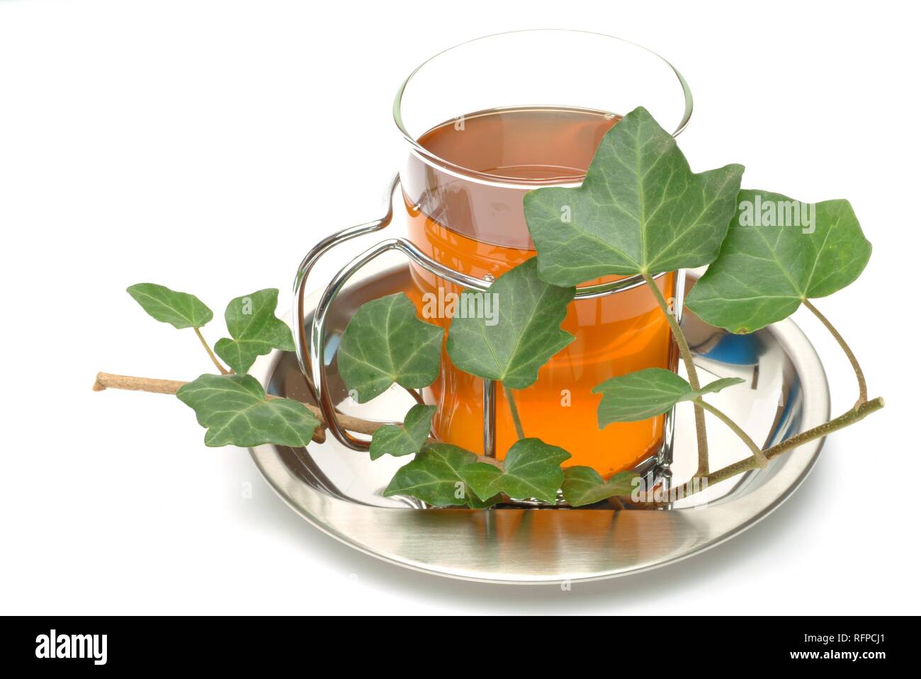Tea made of common ivy, herbtea, medicinal tea, Hedera helix Stock ...