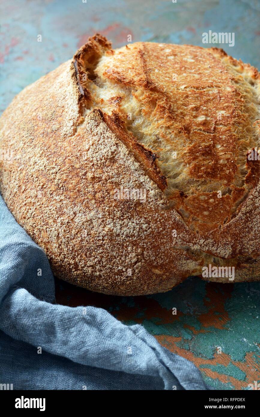 Fresh homemade bread on a gray-blue background, on whole wheat flour ...