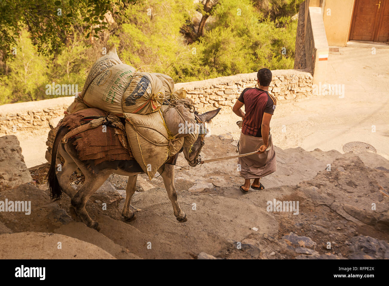Misfat, Oman - November 2, 2018: Peasant leads the loaded mule on the ...