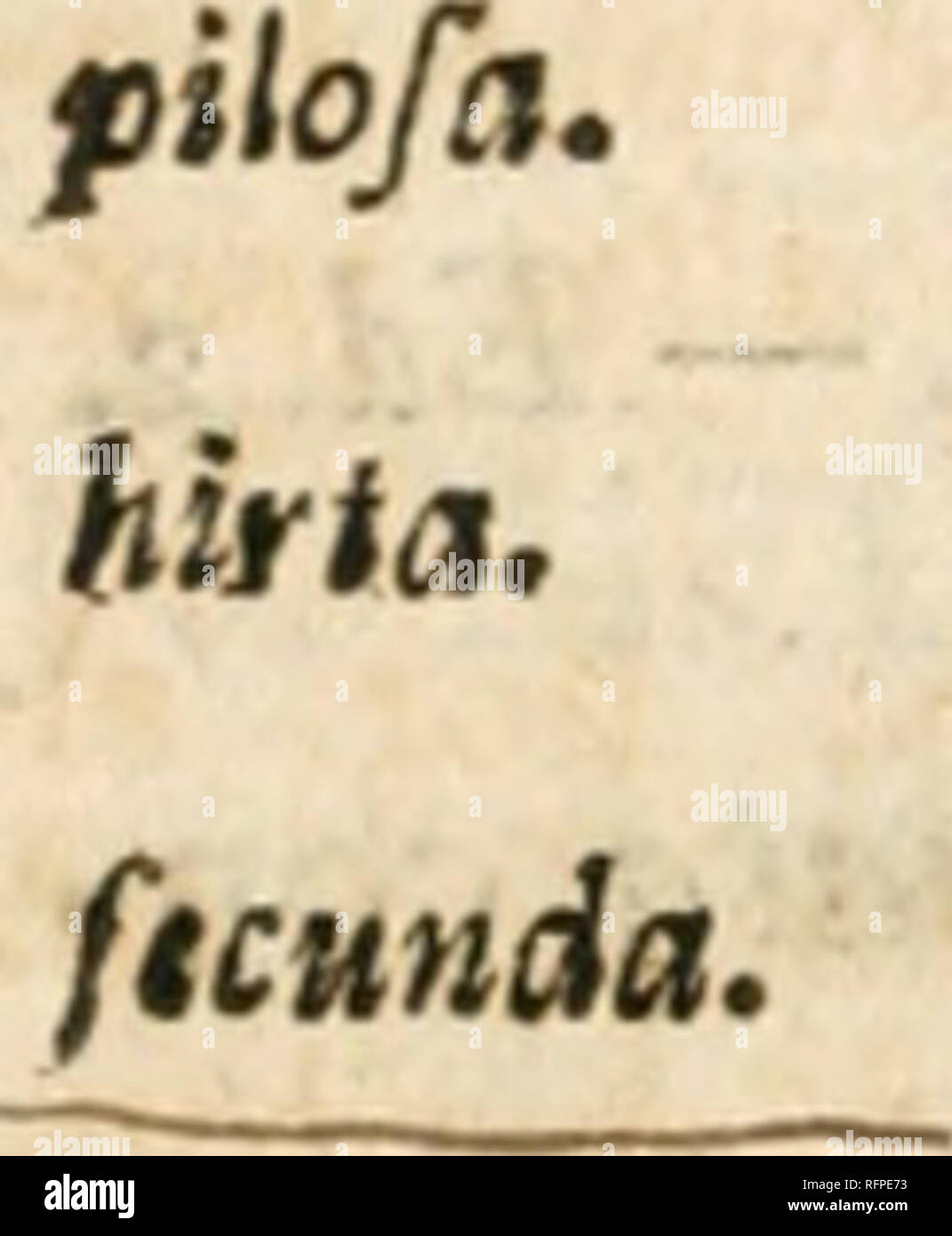 . Caroli a Linné eqvitis Systema vegetabilivm : secvndvm classes ...