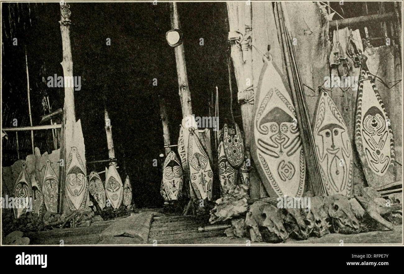 Purari delta hi-res stock photography and images - Alamy