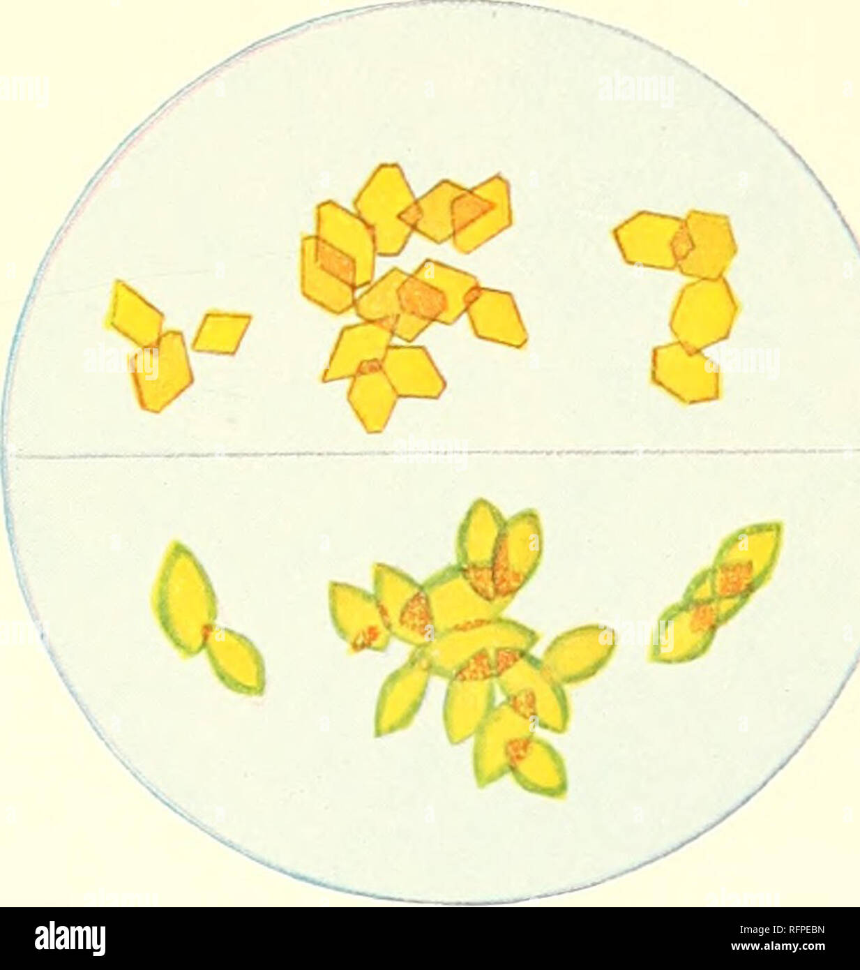 1889 1971 hi-res stock photography and images - Alamy