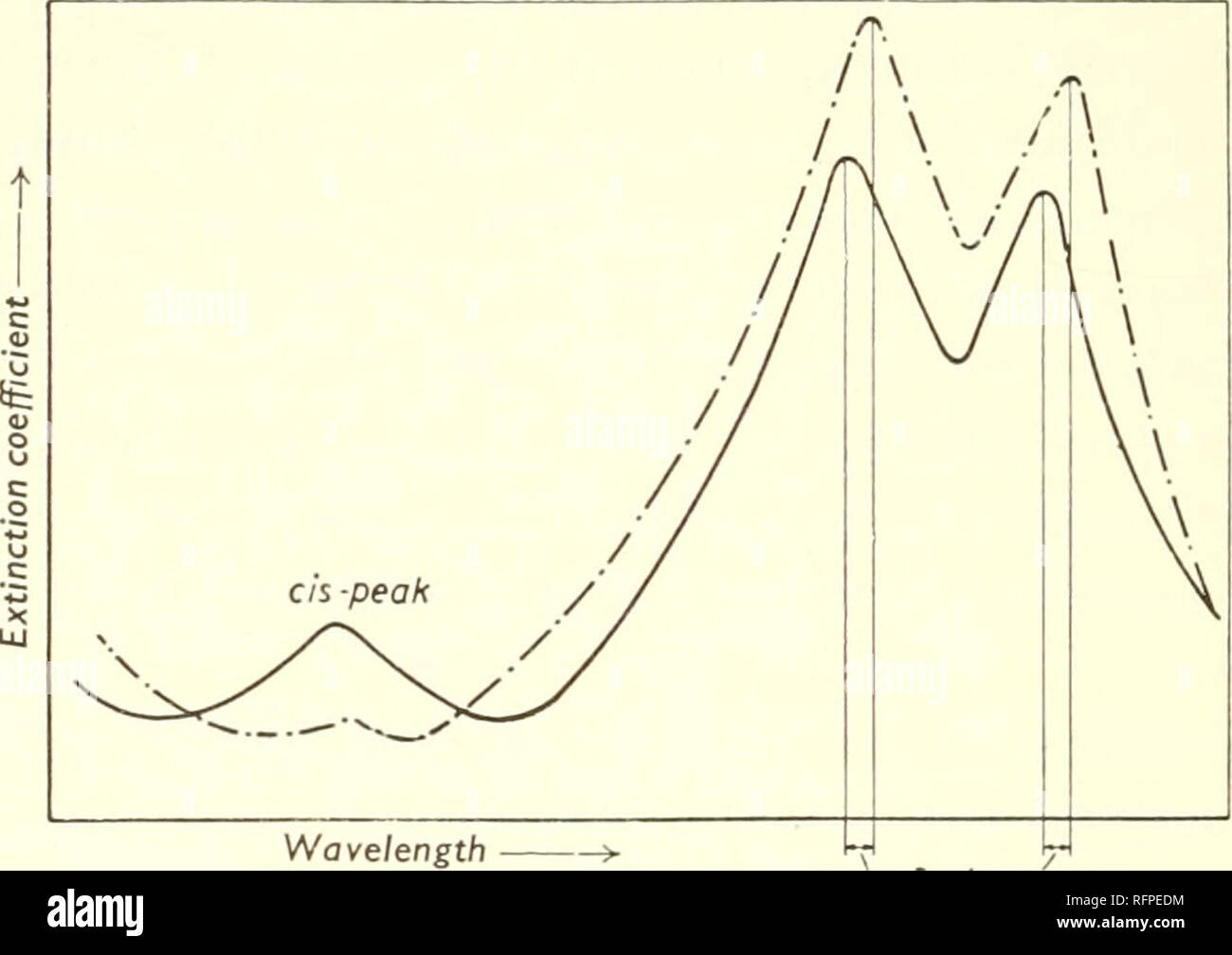 Carotenoid Absorption Spectrum Electronic Structure Of Carotenoids In