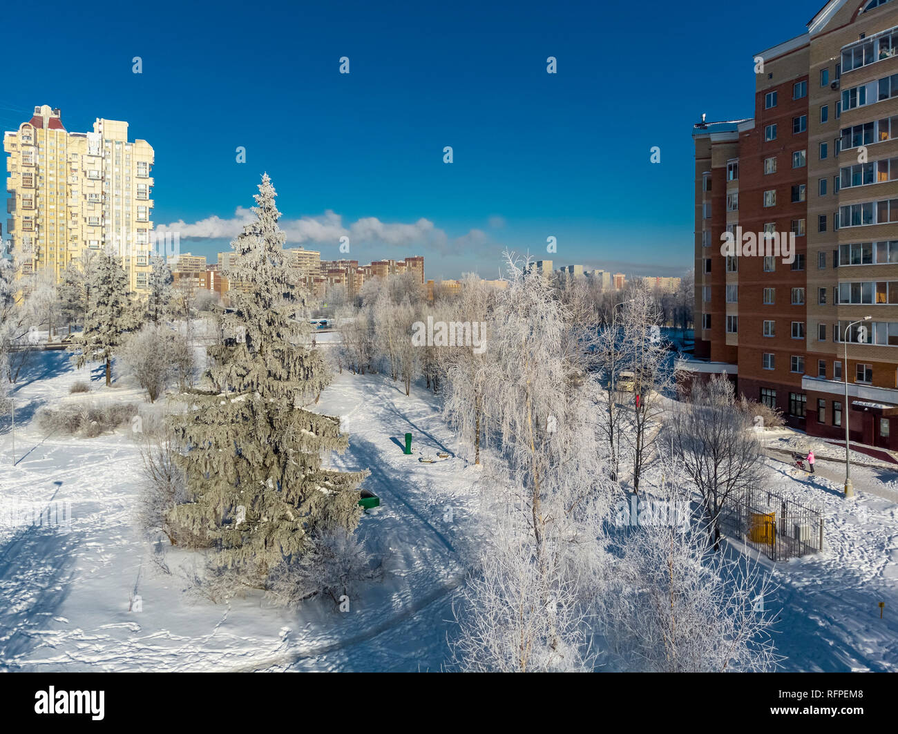 Up over tree in city hi-res stock photography and images - Alamy