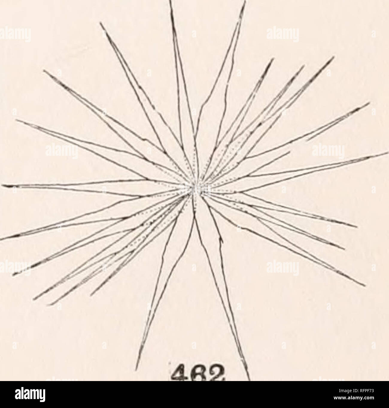 . Carnegie Institution of Washington publication. 460 461 LARVAL FLOAT ...
