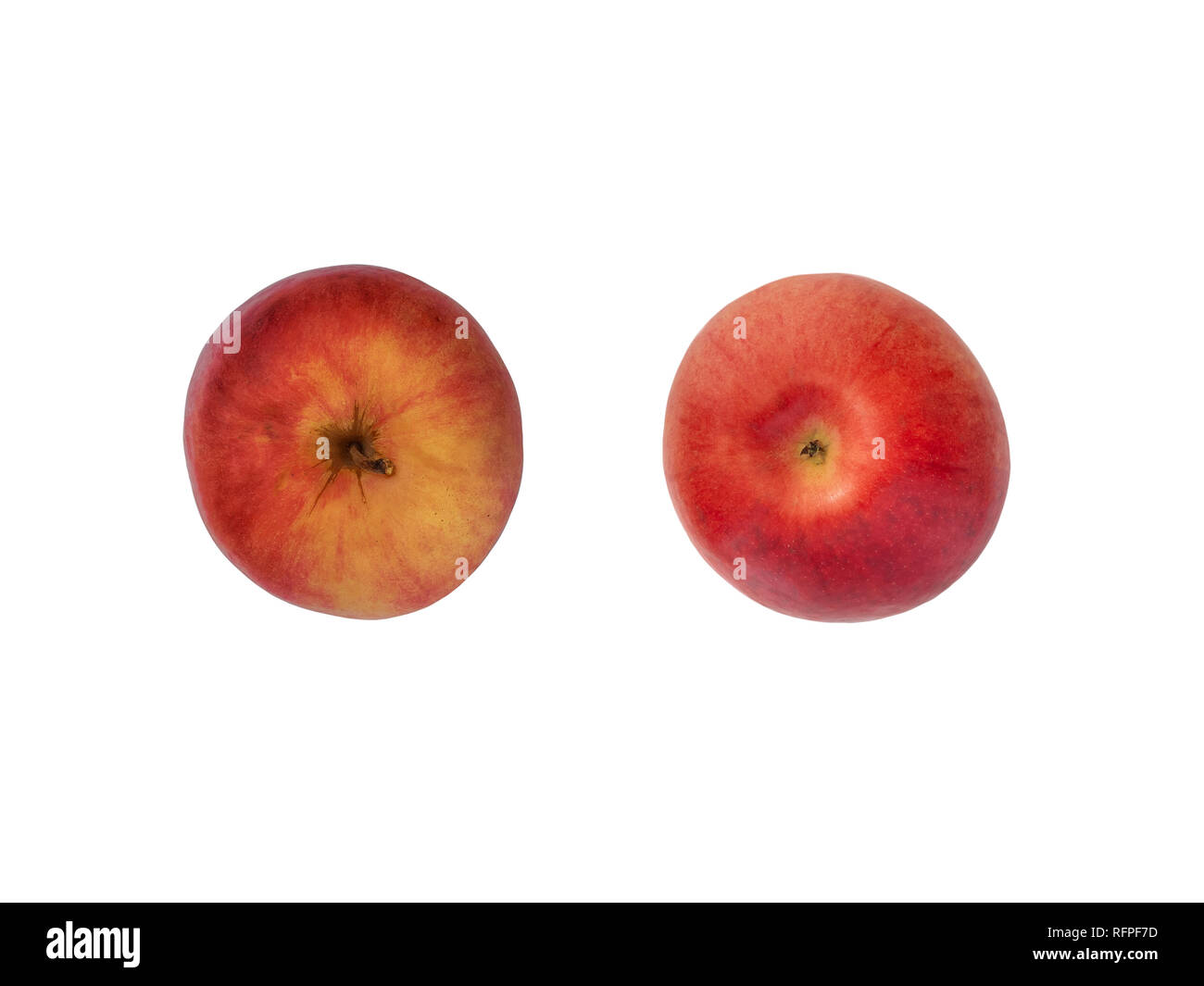 Red-Yellow apple, view from above and bottom view, isolated on white ...