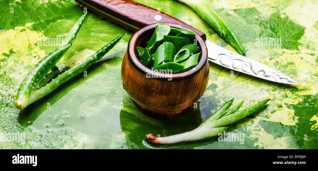 Aloe vera fresh leaves with slices. Aloe vera a medicinal plant Stock ...