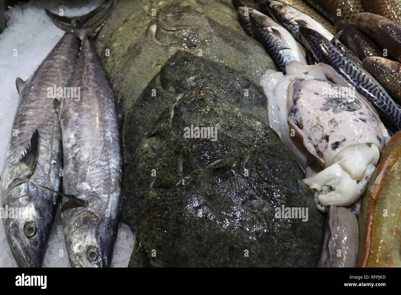 Fresh Fish on Ice Stock Photo - Alamy