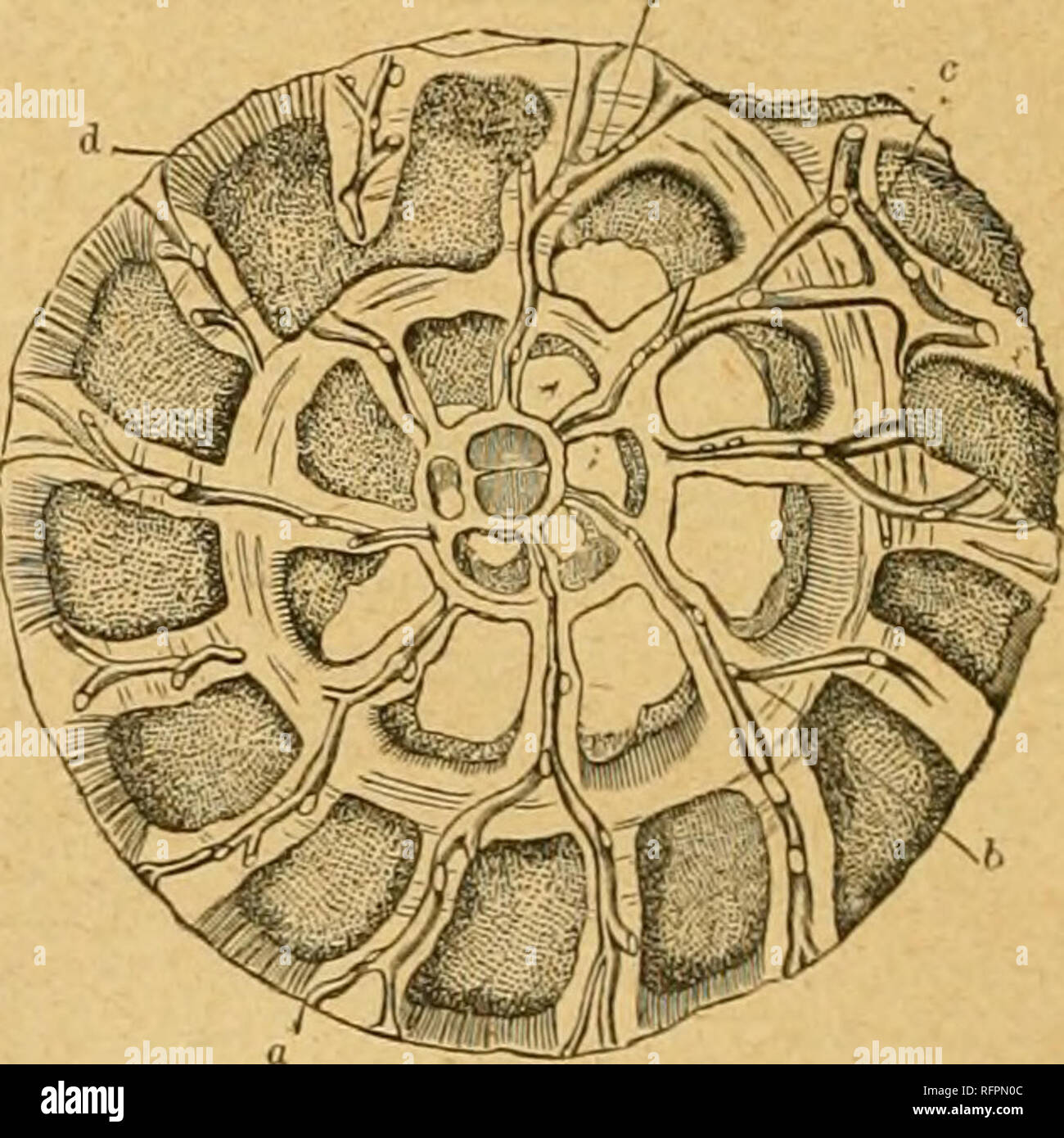Resembling pyramids hi-res stock photography and images - Alamy