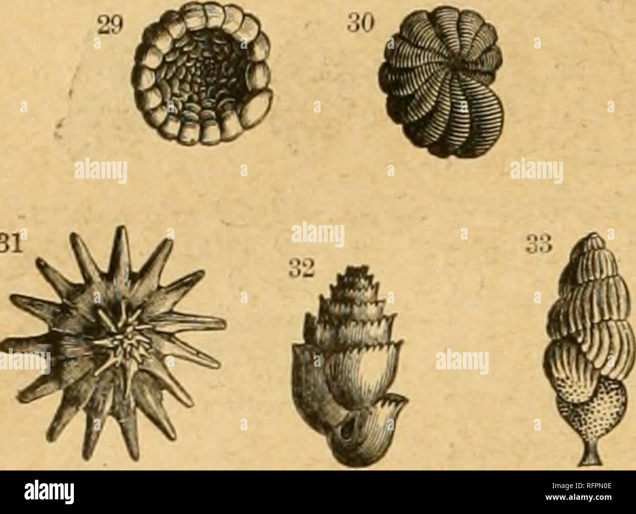 Resembling pyramids hi-res stock photography and images - Alamy