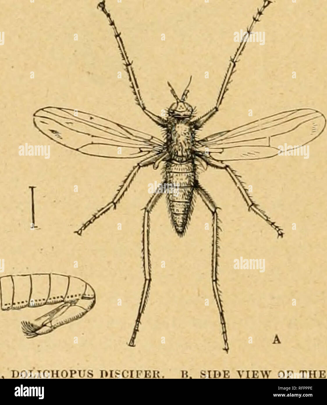 Disc meadows hi-res stock photography and images - Alamy