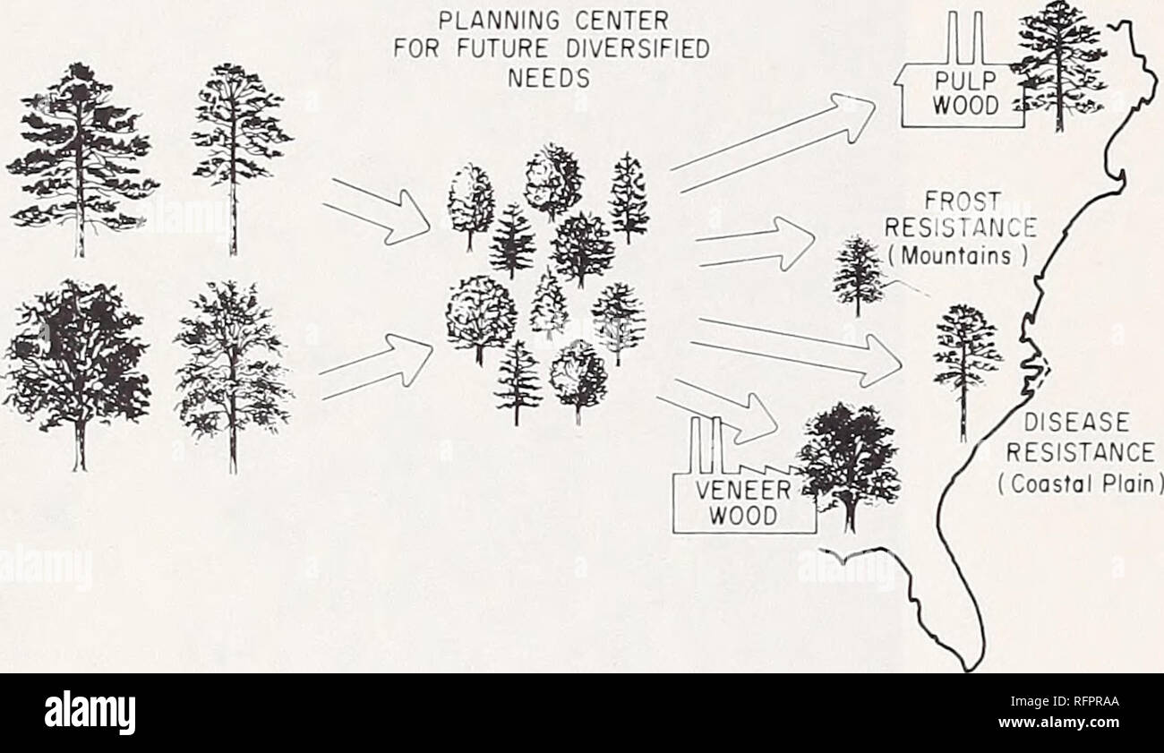 Quantitative genetics hi-res stock photography and images - Alamy