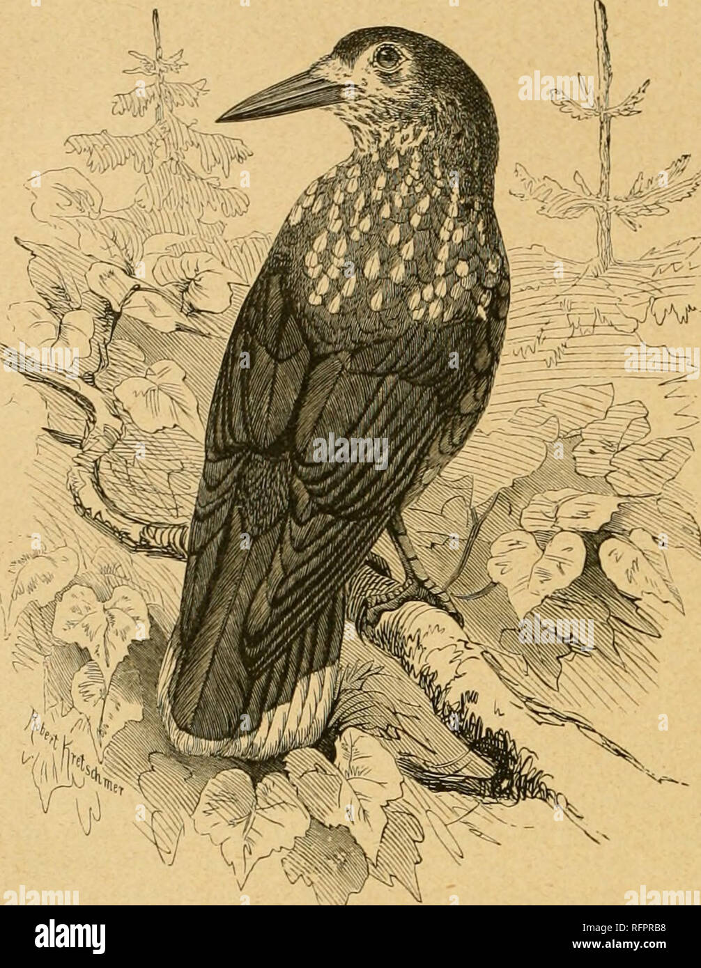 . Cassell's natural history. Animals; Animal behavior. TH^TVRAh BISTQRY ...