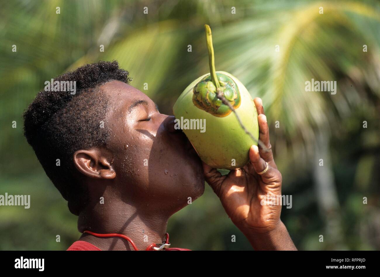 Drinking coconut milk, National Park Punta Sal, Honduras Stock Photo ...