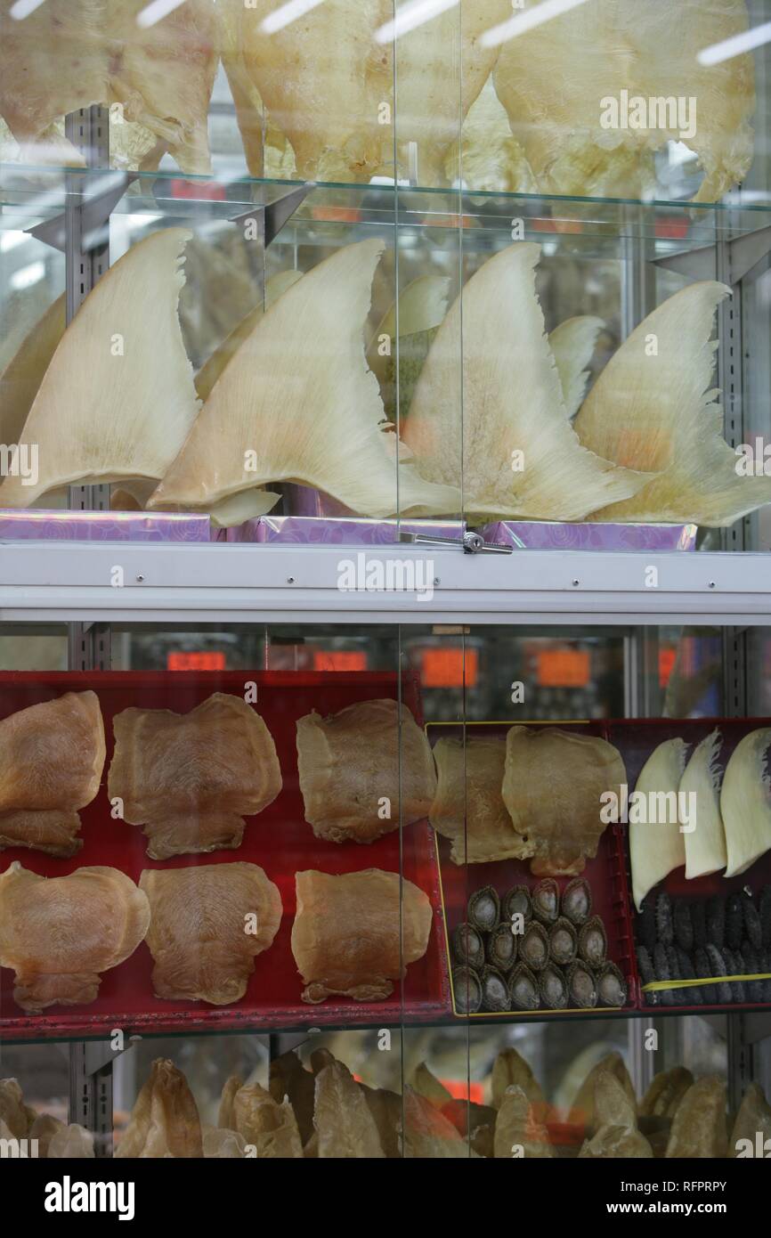 Dried shark fins in store hi-res stock photography and images - Alamy