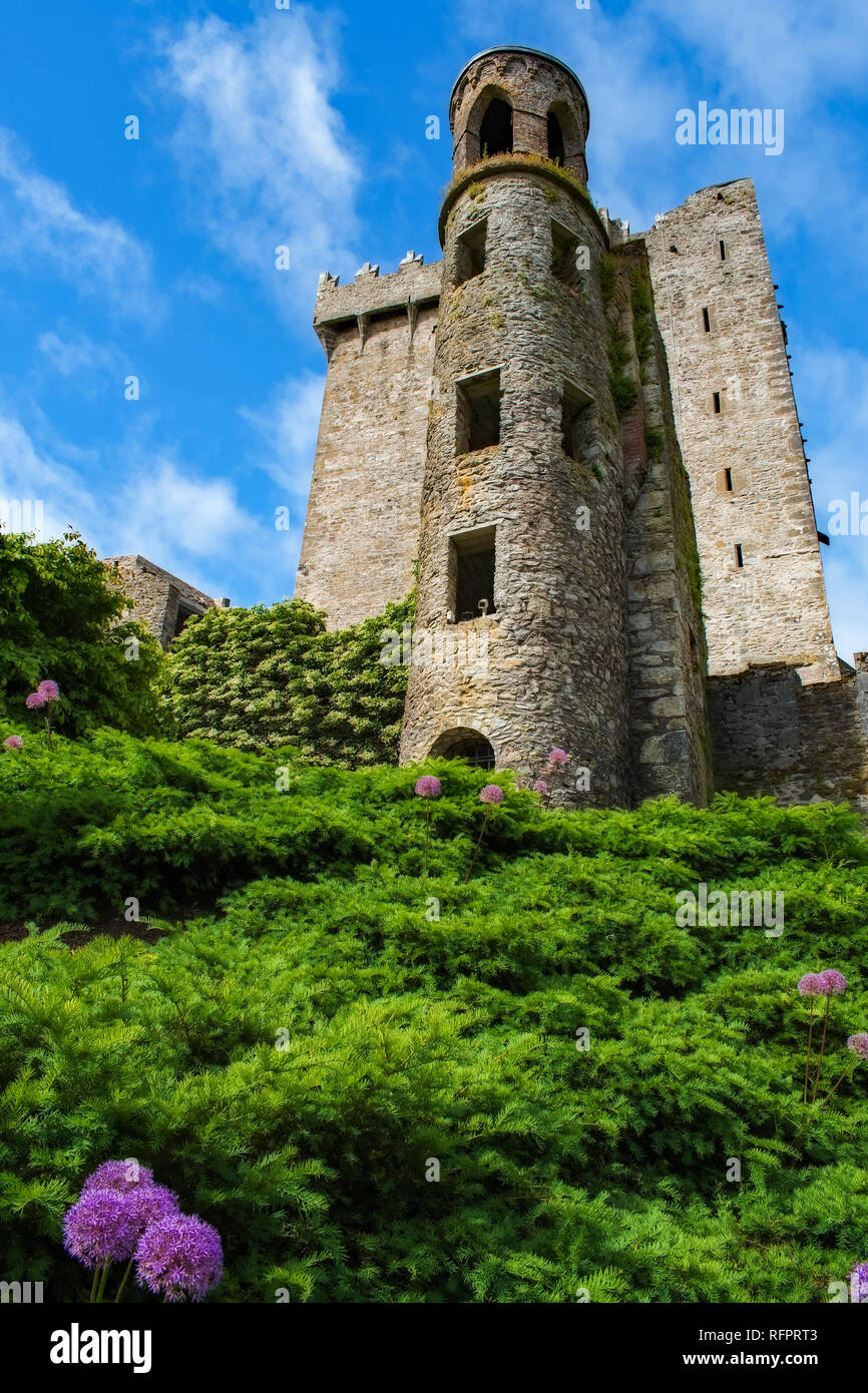 Tower at Blarney Castle Stock Photo - Alamy