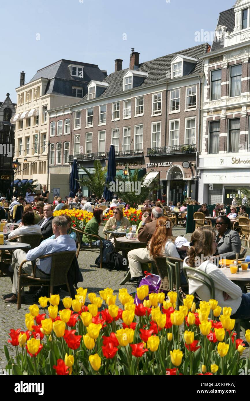 Old houses and cafes on the Buitenhof square in gthe old part of town ...