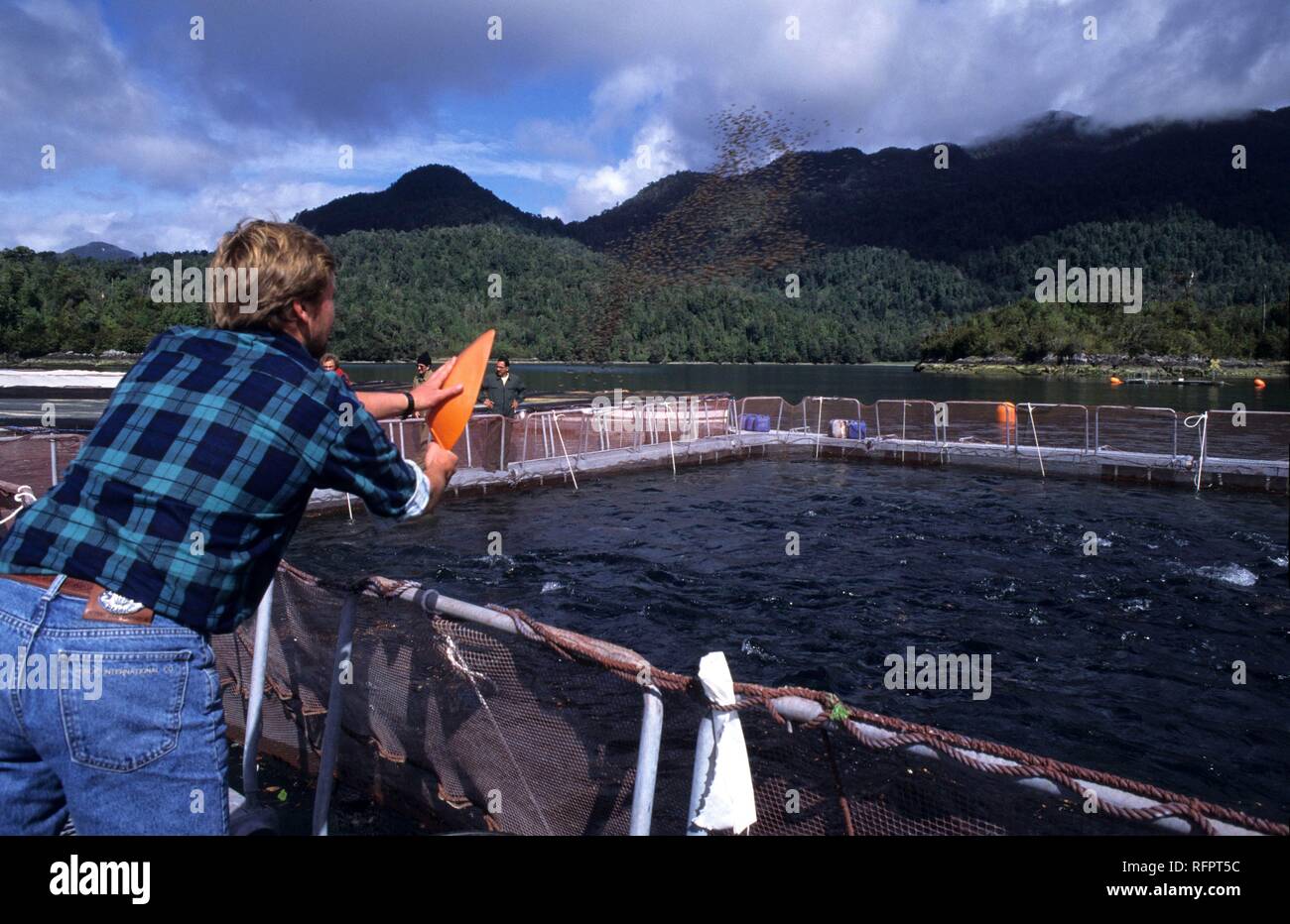 Chile fish farm hi-res stock photography and images - Alamy