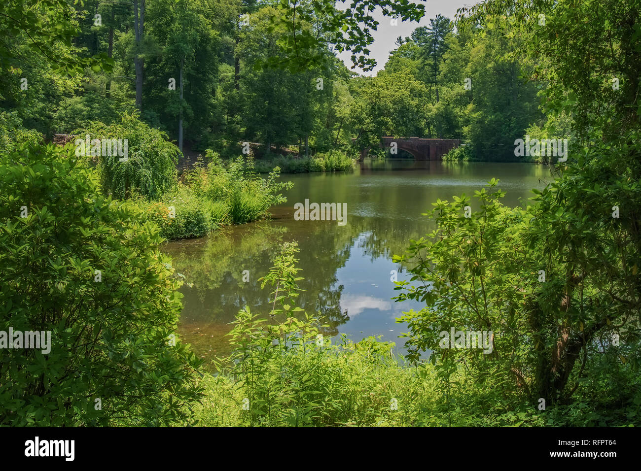 Bass pond hi-res stock photography and images - Alamy