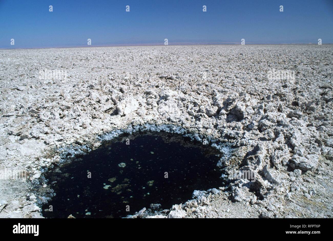 Atacama salzsee hi-res stock photography and images - Alamy
