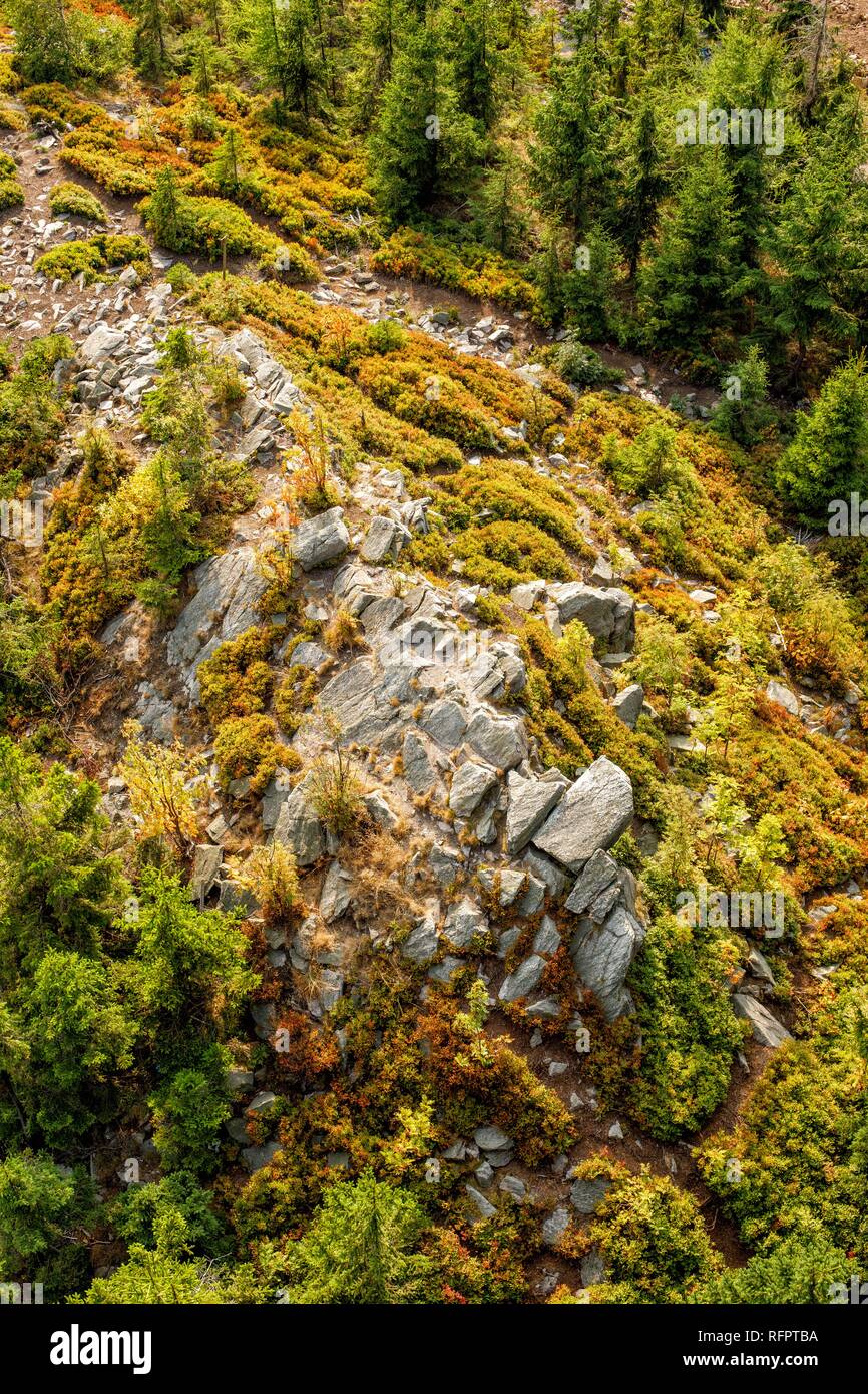 Great morava hi-res stock photography and images - Alamy