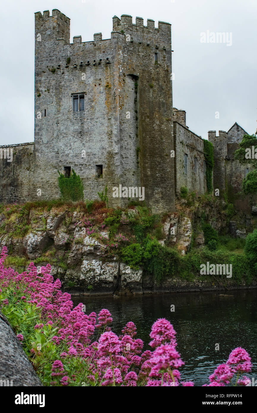 Cahir castle in Ireland Stock Photo - Alamy