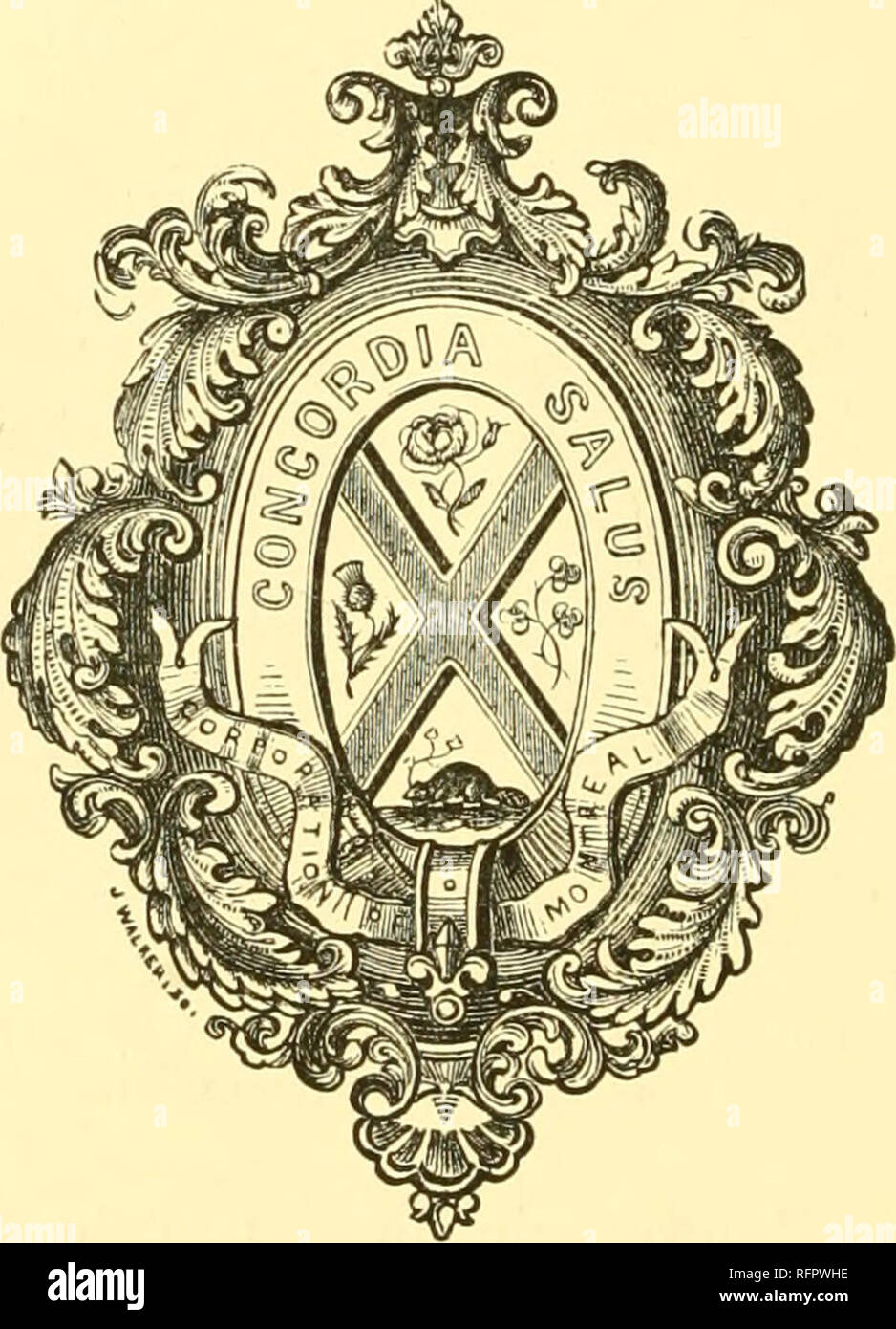 Beaver coat of arms hi-res stock photography and images - Alamy