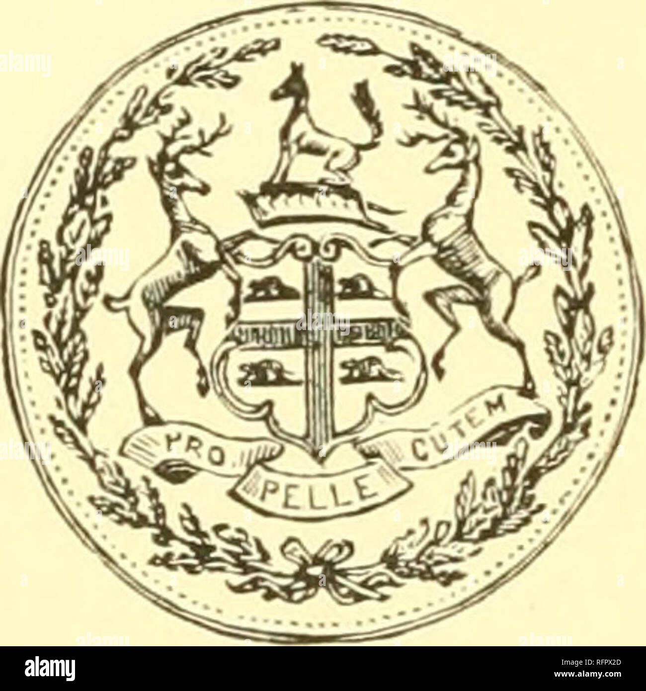 Beaver coat of arms hi-res stock photography and images - Alamy