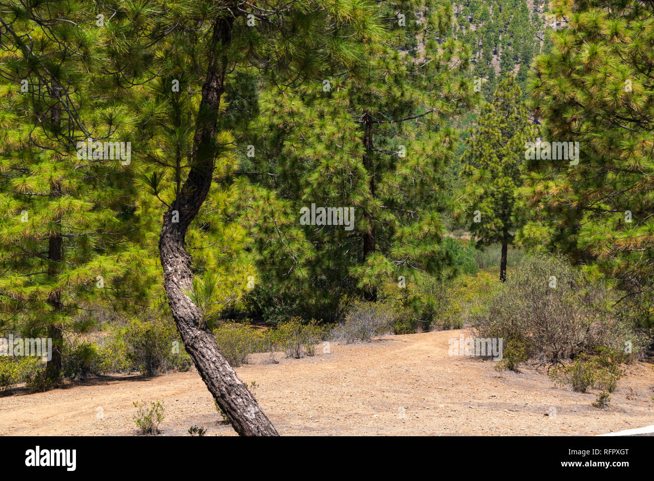 Gravel road in middle nowhere hi-res stock photography and images - Alamy