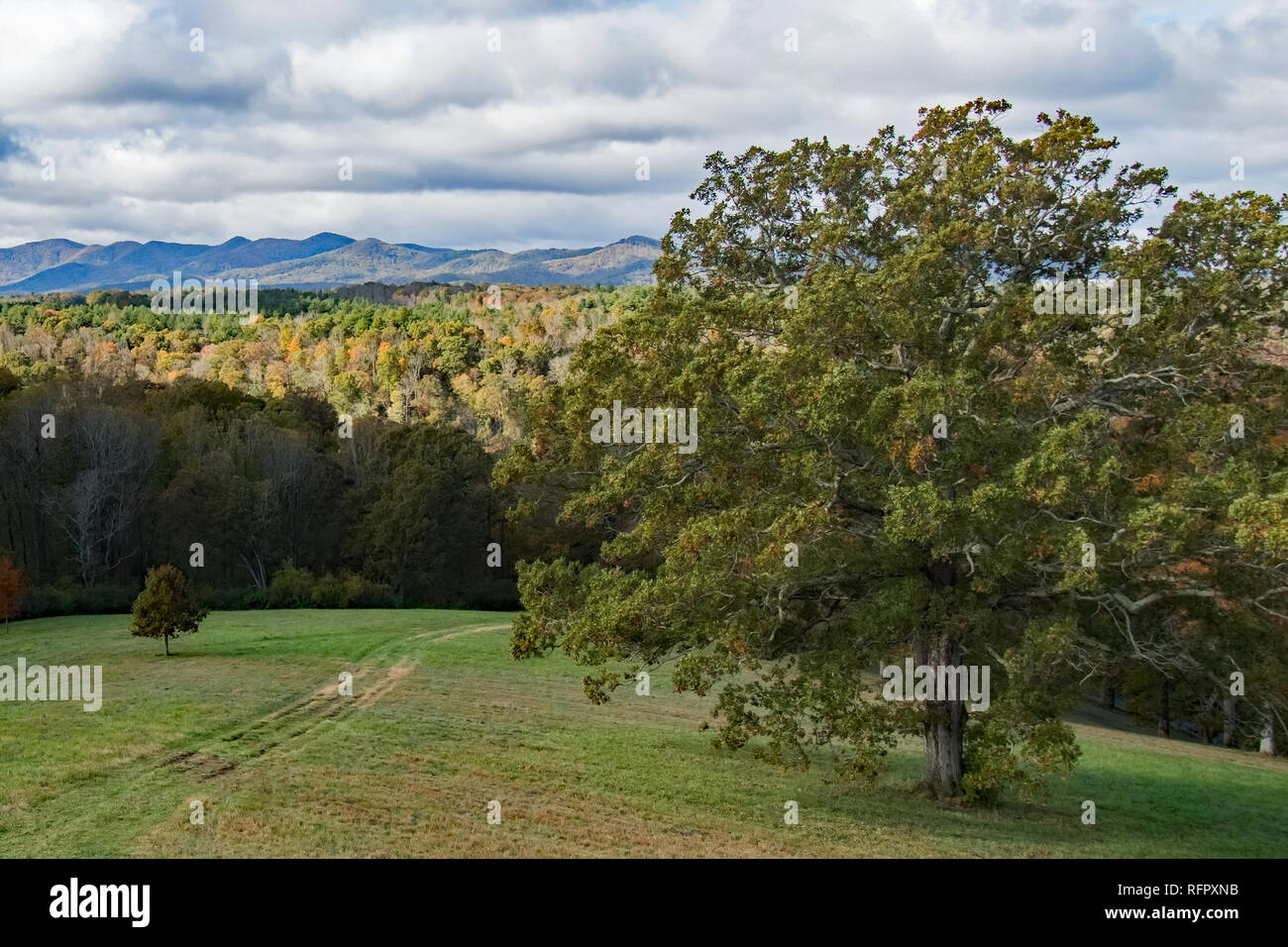 Biltmore forest hi-res stock photography and images - Alamy