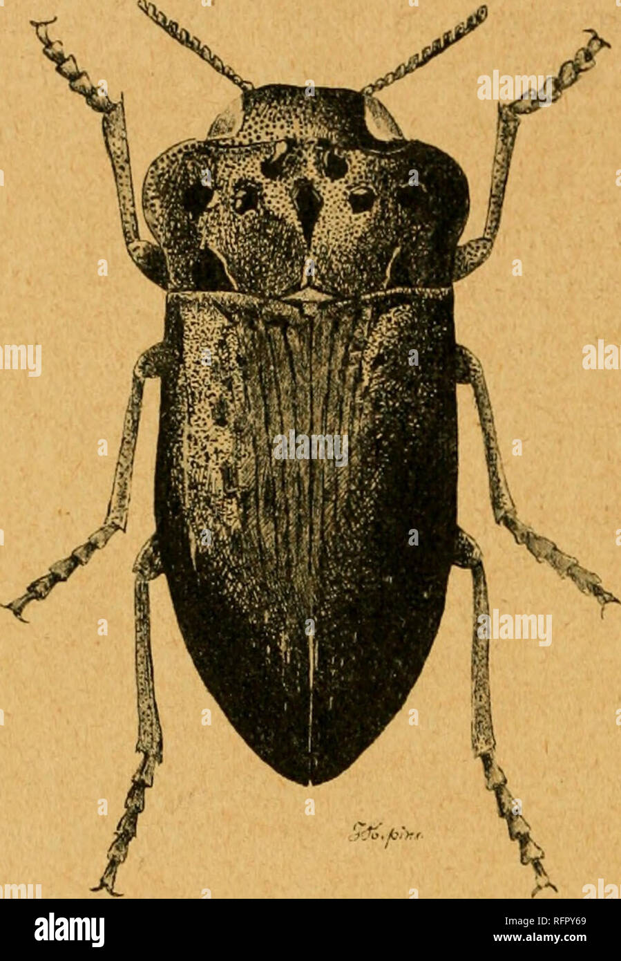 Ma sta hi-res stock photography and images - Alamy