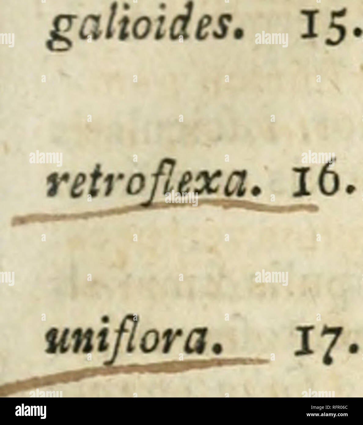 . Caroli a Linné eqvitis Systema vegetabilivm : secvndvm classes ...