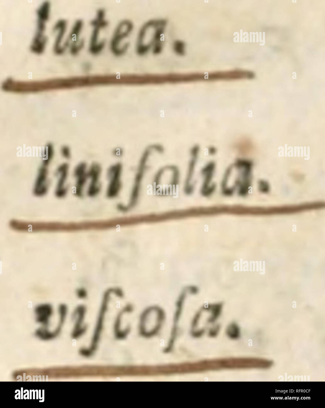 . Caroli a Linné eqvitis Systema vegetabilivm : secvndvm classes ...