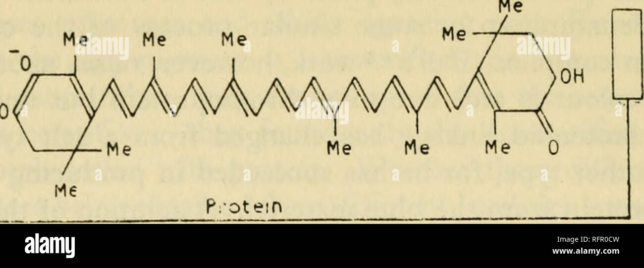Chromoprotein hi-res stock photography and images - Alamy