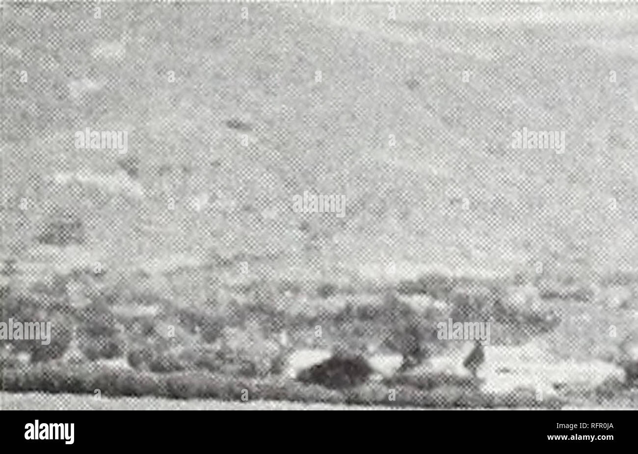 Vegetated berm hi-res stock photography and images - Alamy